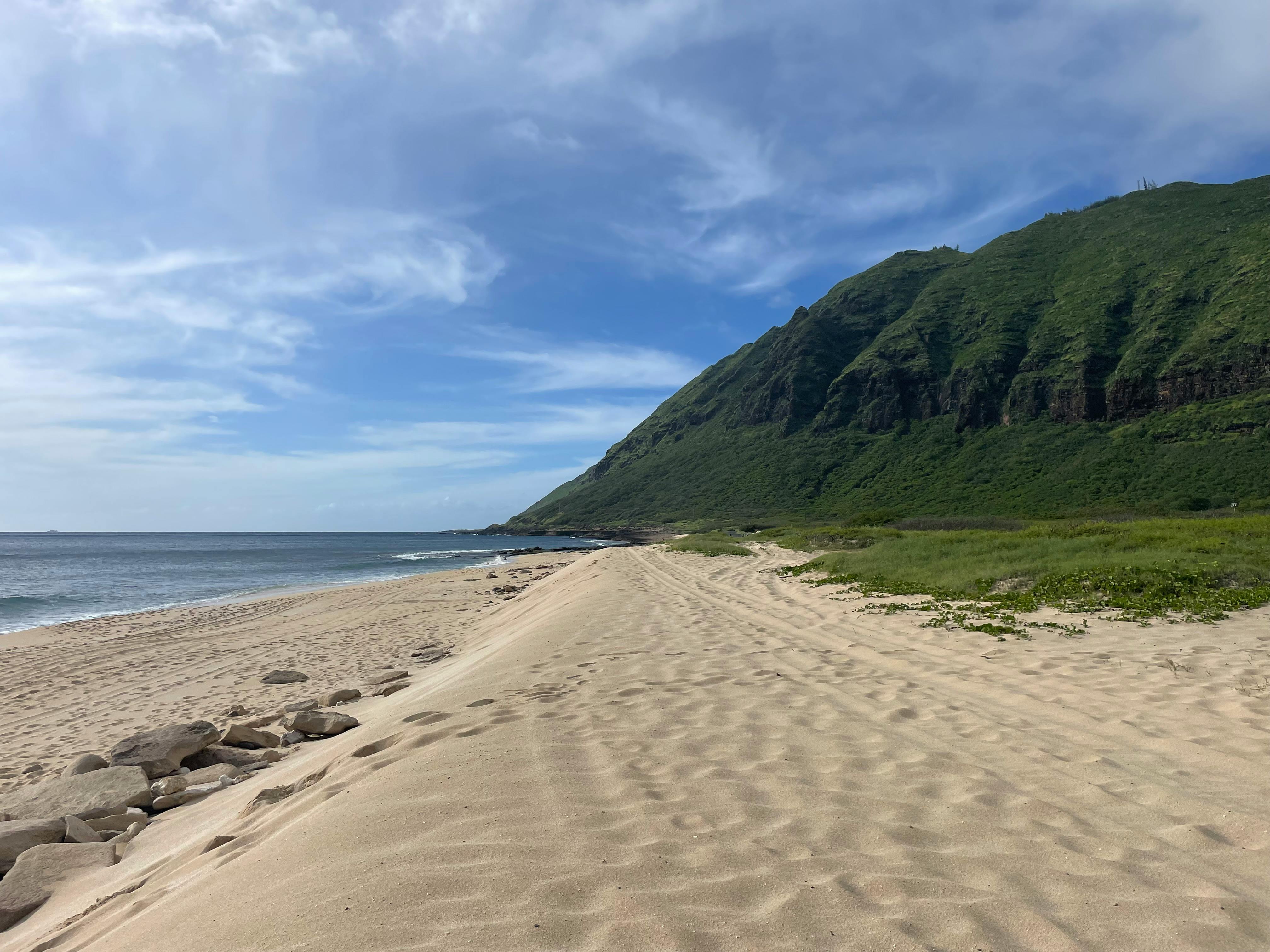 A Sandy Beach and a Green Cliff · Free Stock Photo
