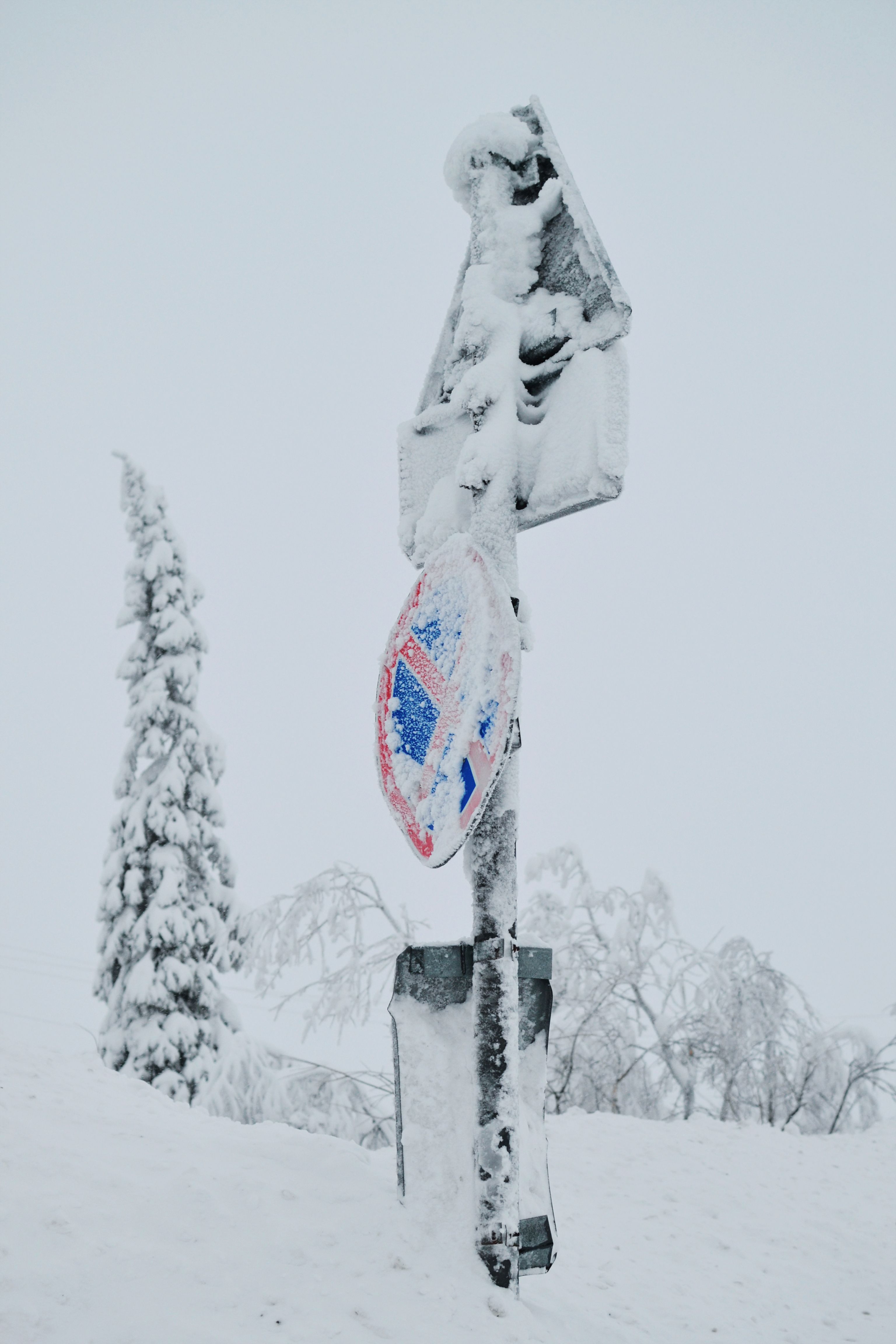 Road Signs and Trees in Snow · Free Stock Photo