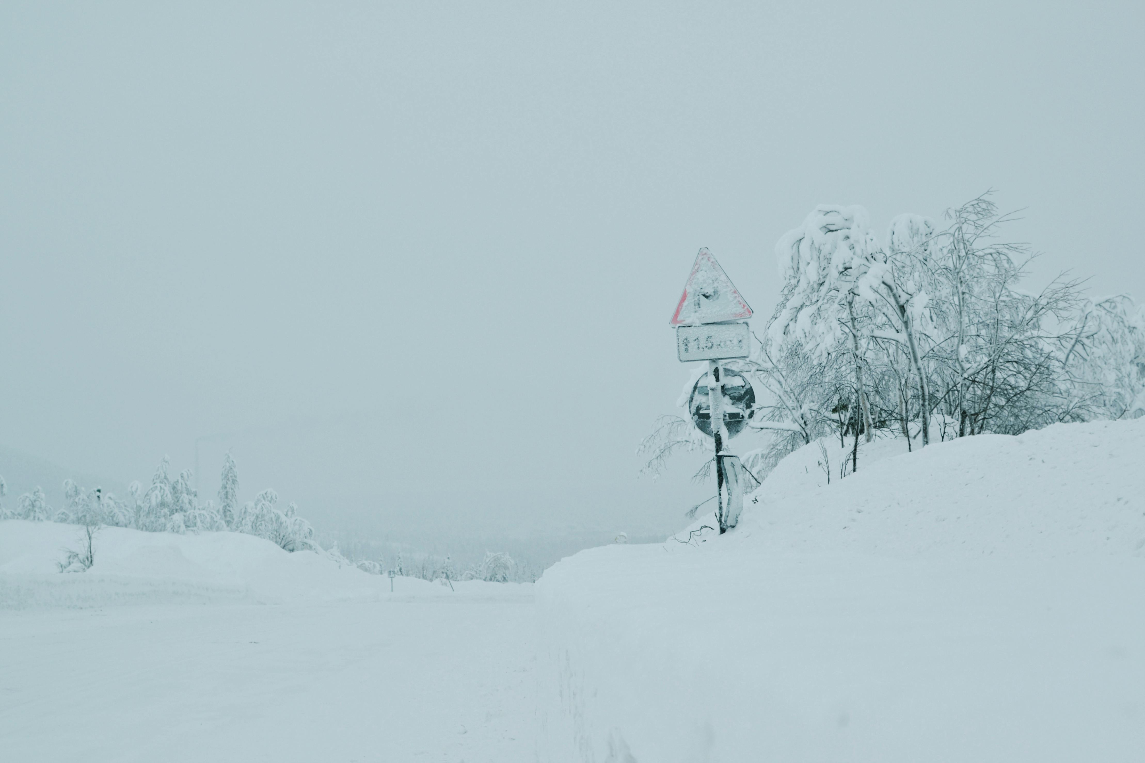 Topographic White Photos, Download The BEST Free Topographic White ...