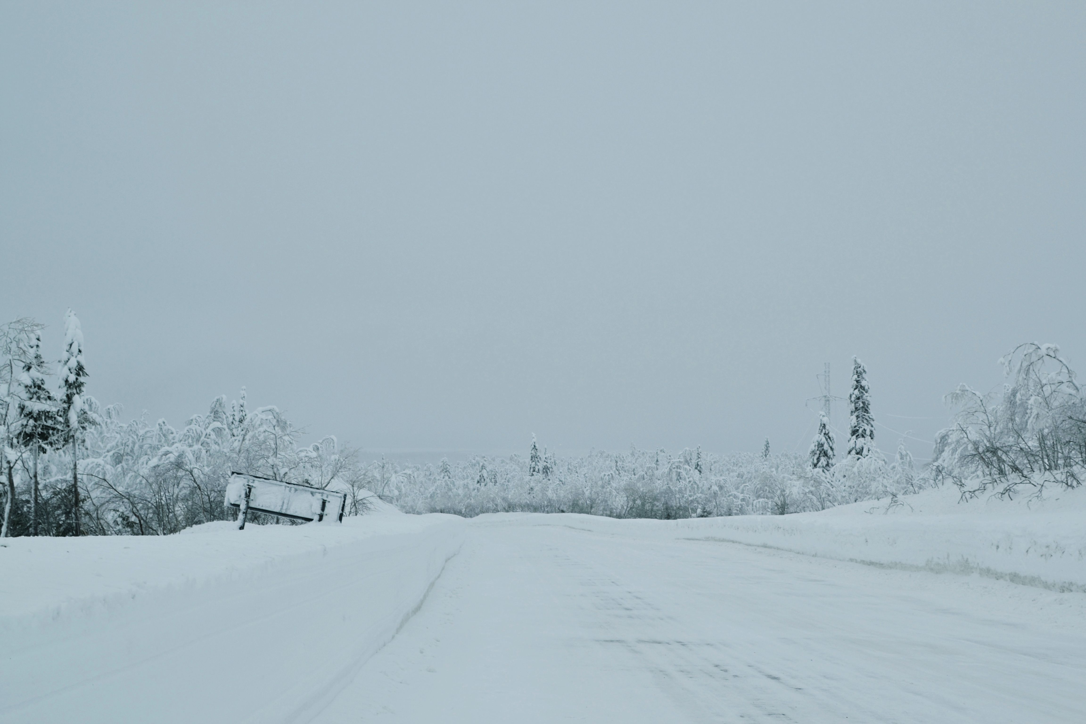 Overcast and Fog over Road in Snow · Free Stock Photo