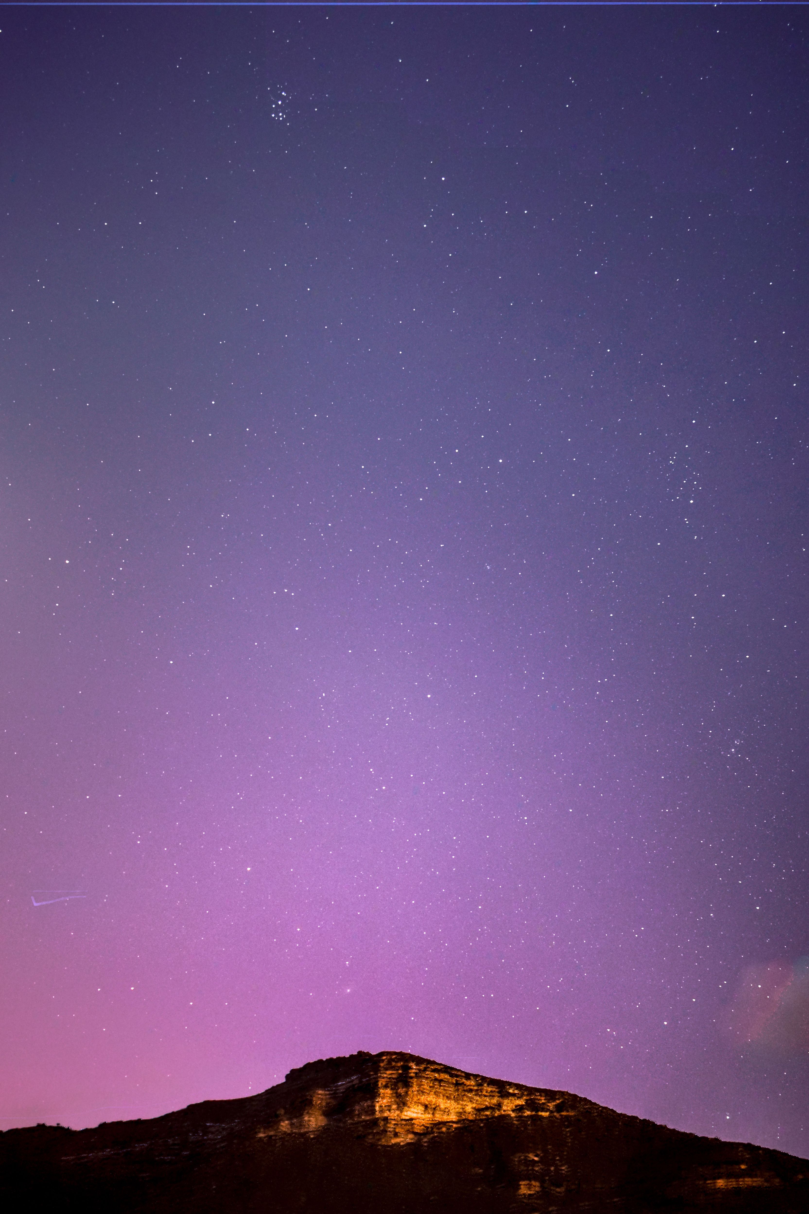 Stars on Night Sky over Tree · Free Stock Photo