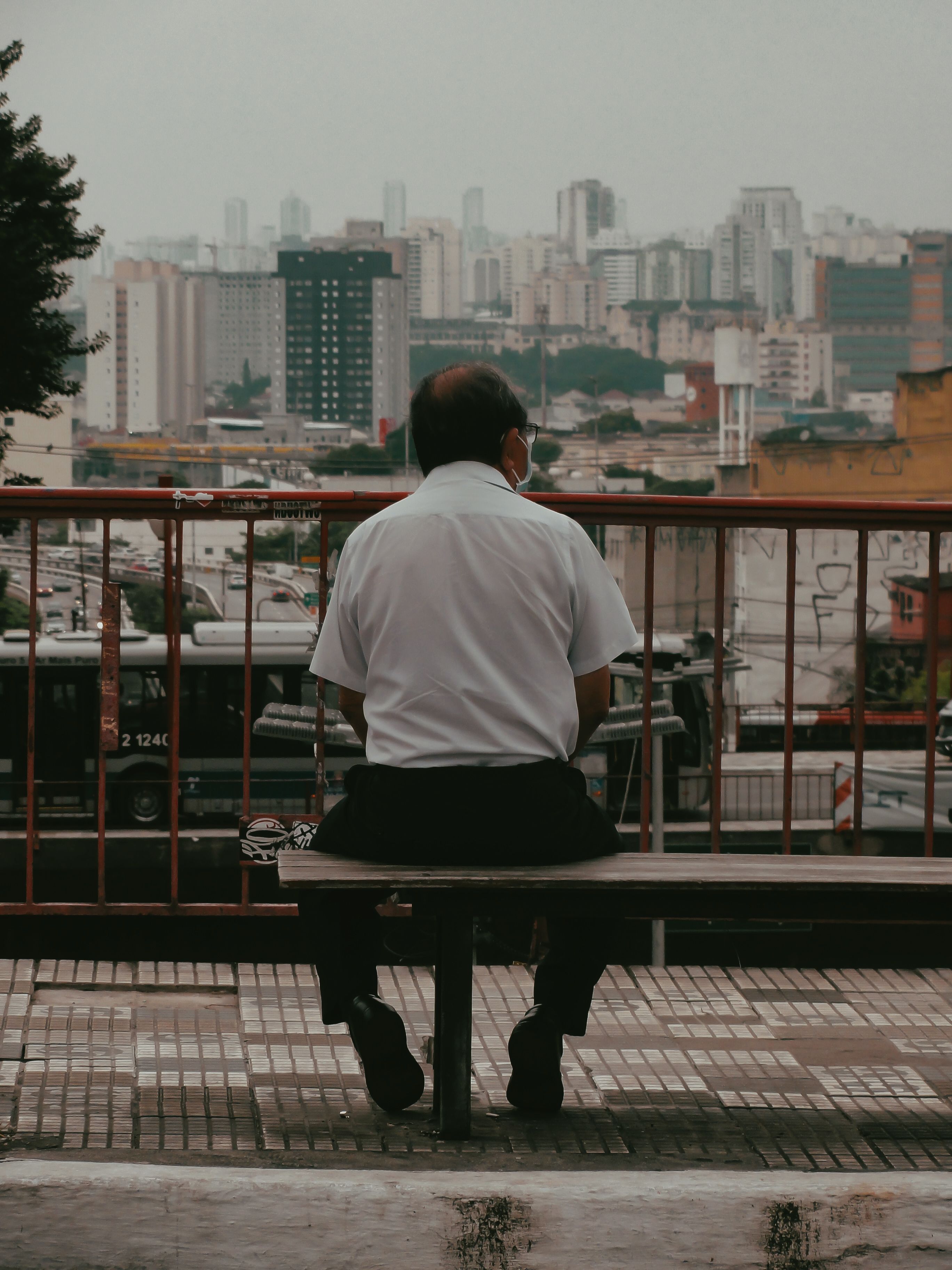 Man Sitting on Bench Overlooking City · Free Stock Photo