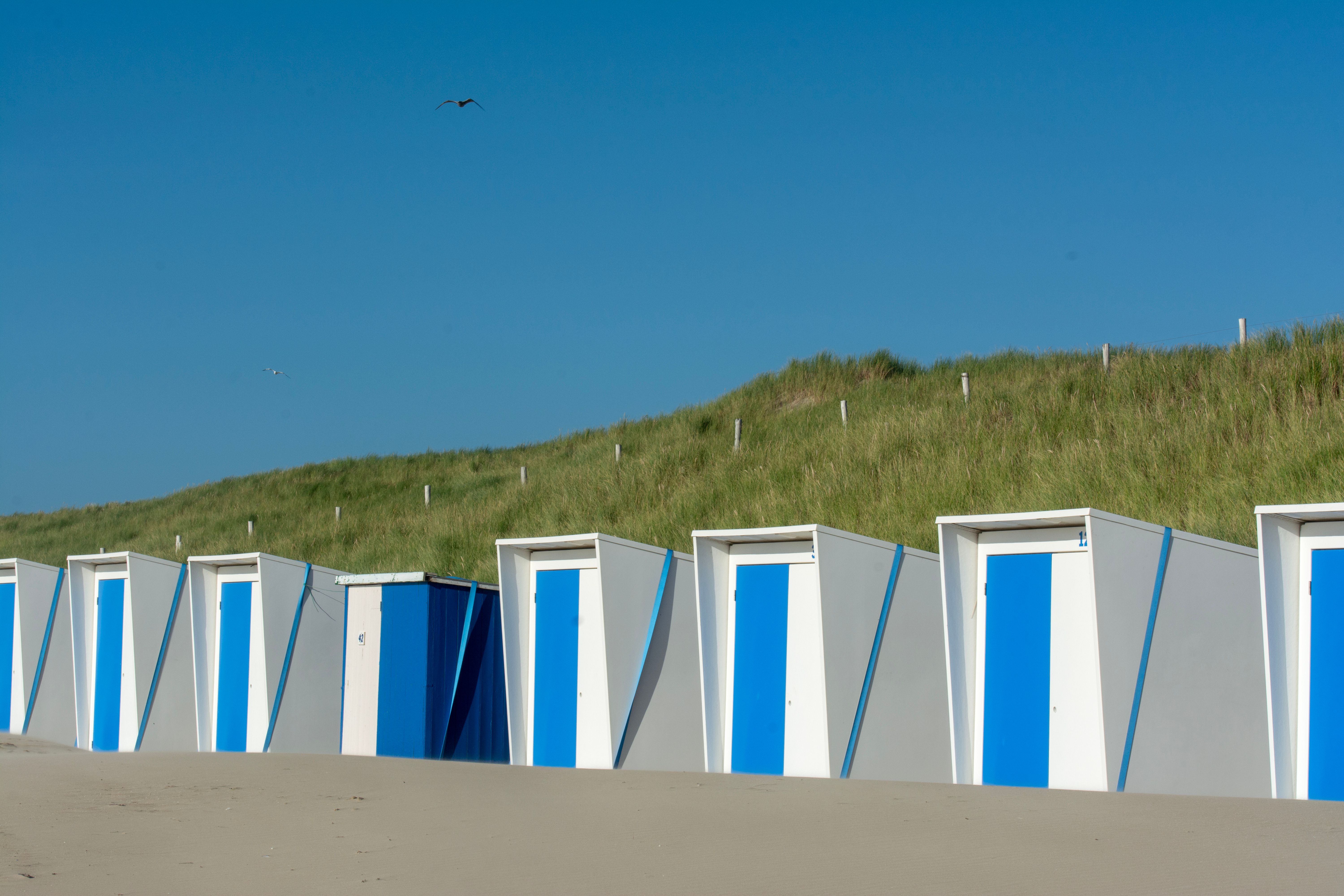 Row of Sheds on Beach · Free Stock Photo