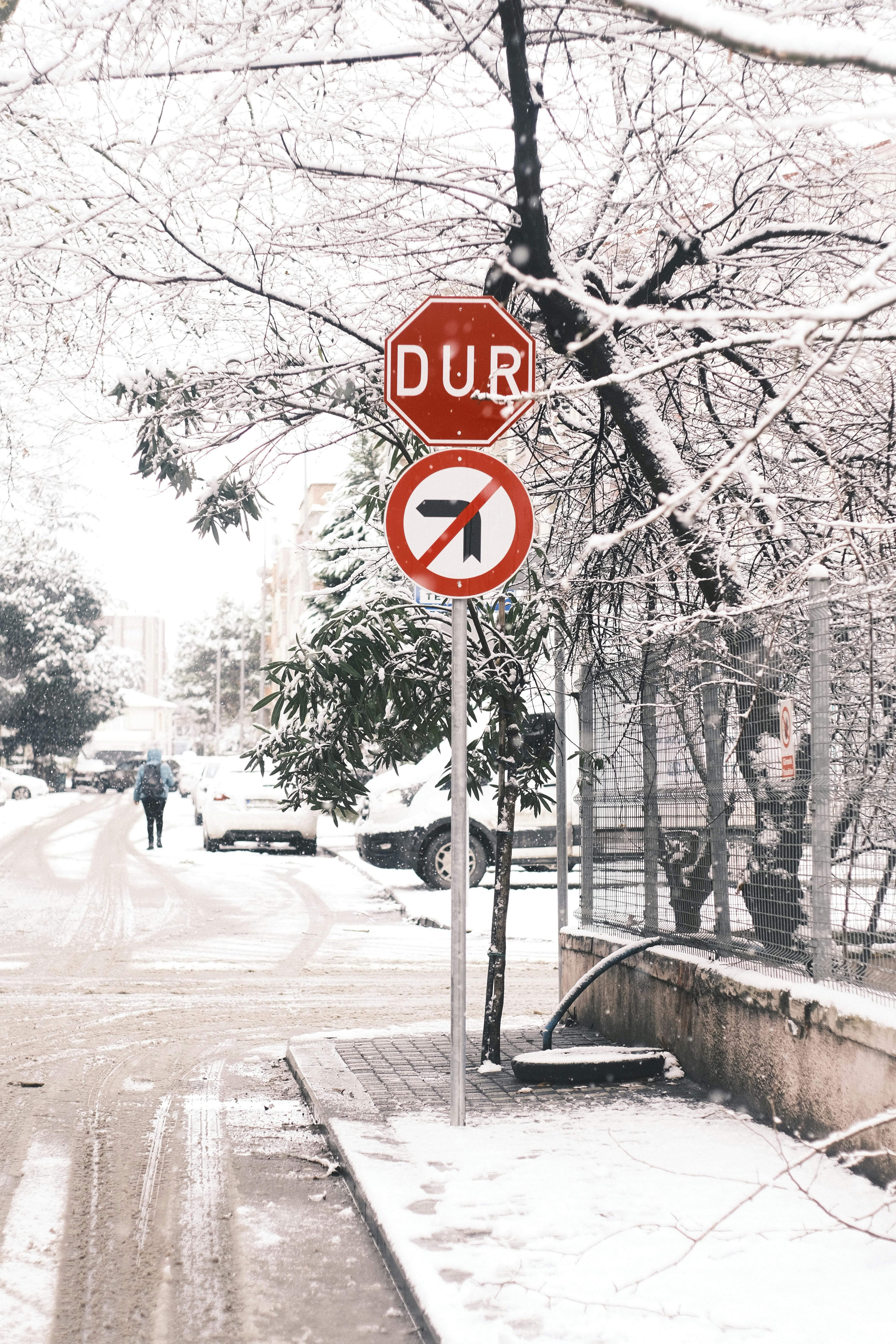 Road Signs on Street in Town in Turkey in Winter · Free Stock Photo