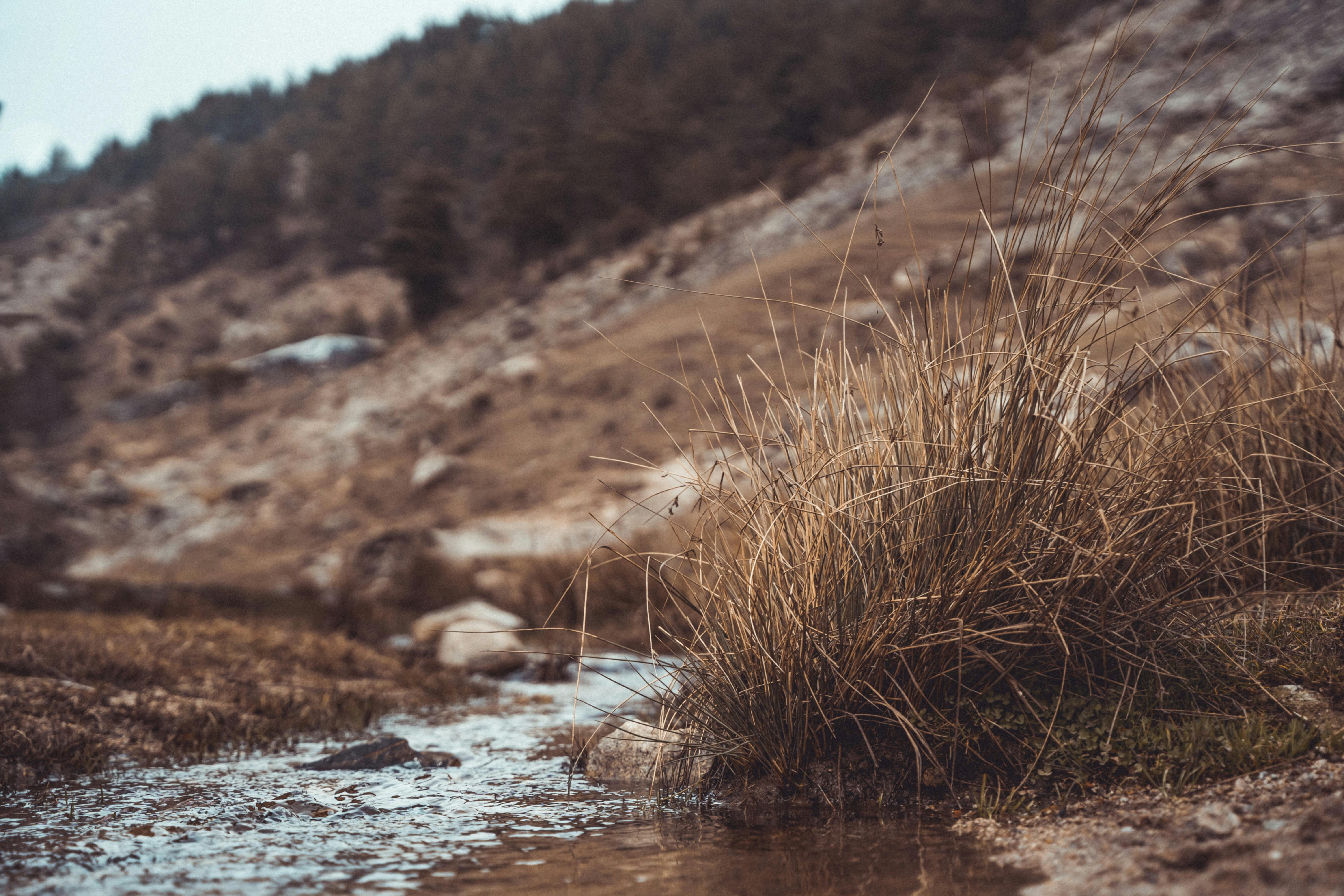 Dry Racer Photos, Download The BEST Free Dry Racer Stock Photos & HD Images