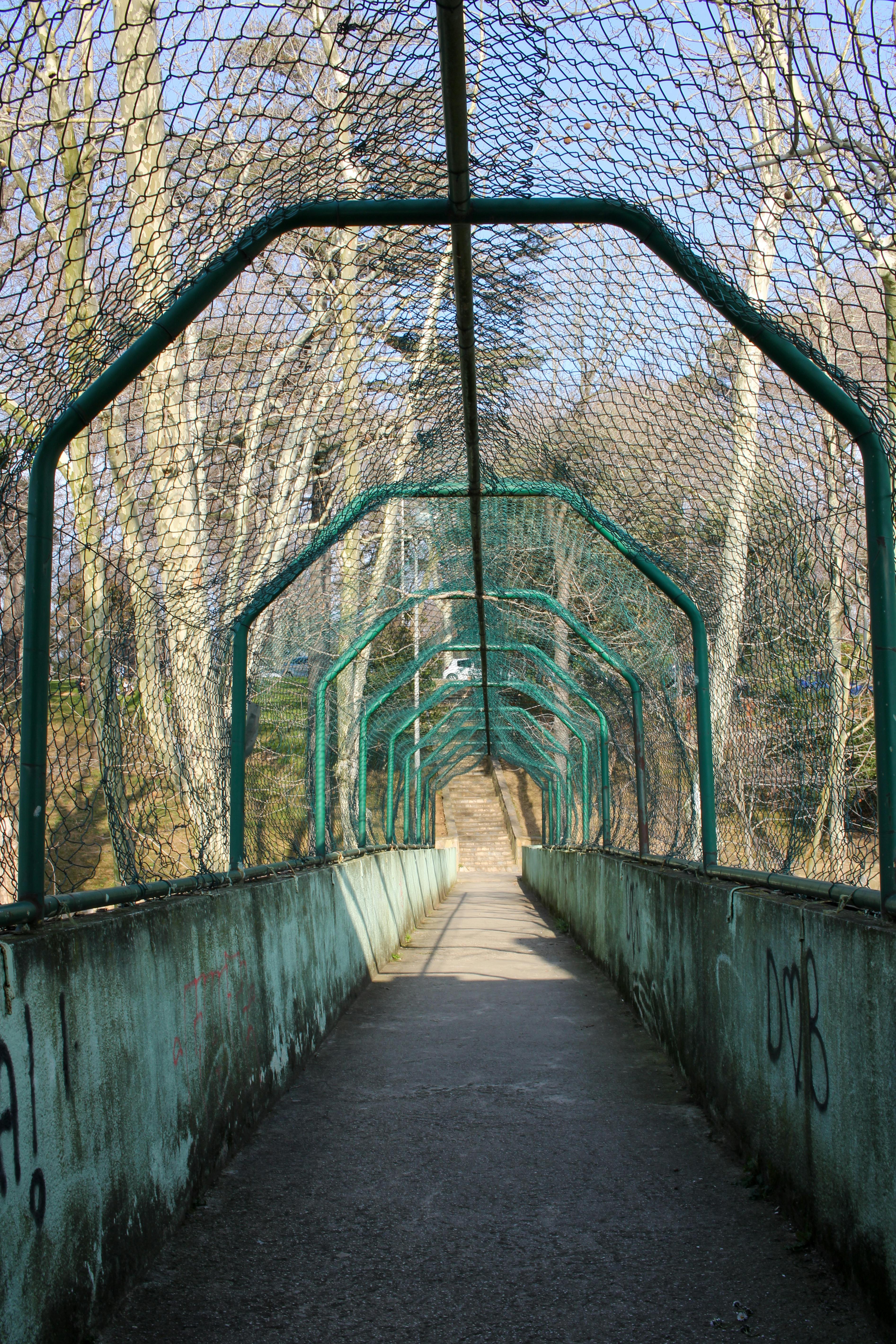 Walkway in Park · Free Stock Photo