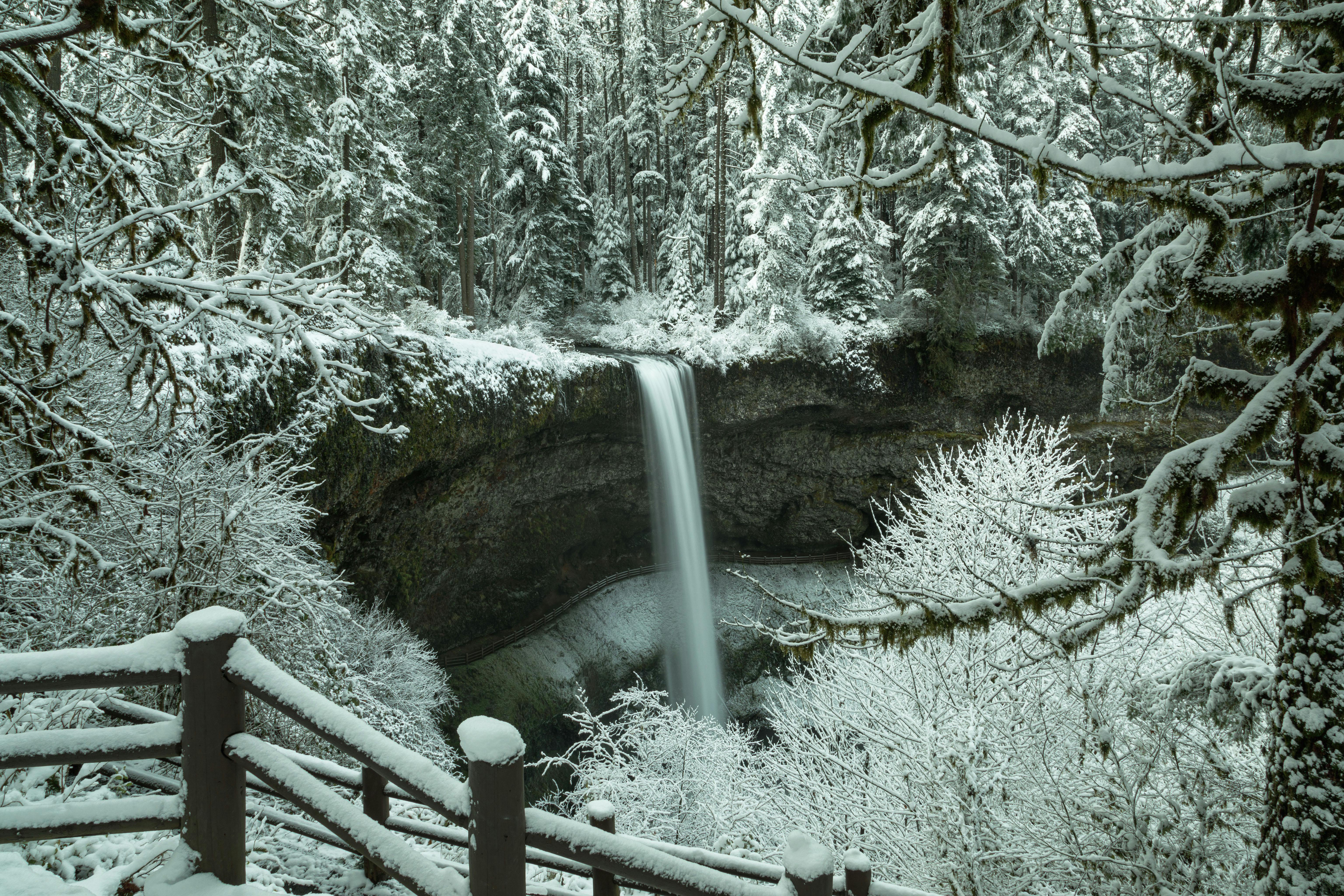 Waterfall in Silver Falls State Park · Free Stock Photo