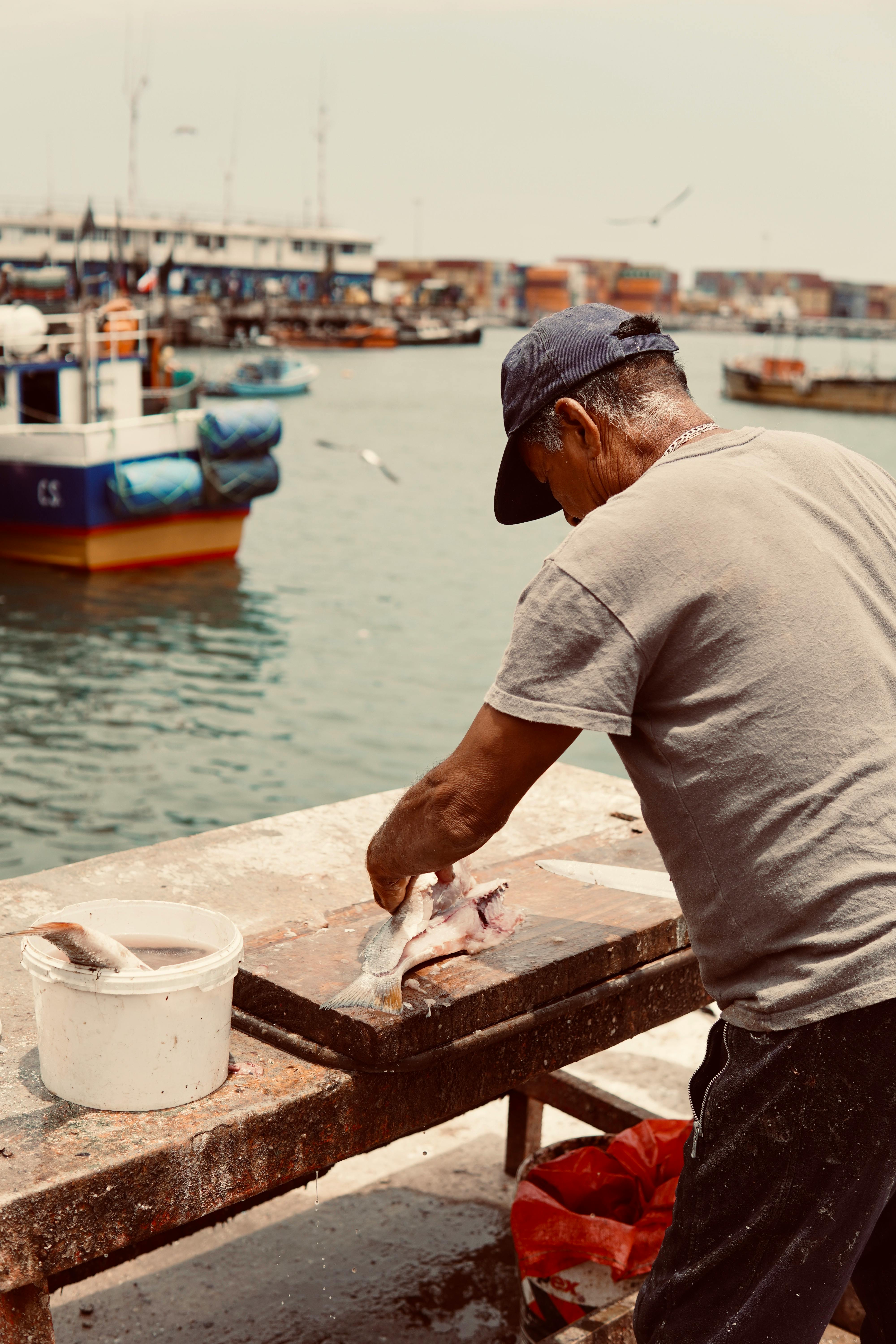 Fish Cutting Photos, Download The BEST Free Fish Cutting Stock Photos ...