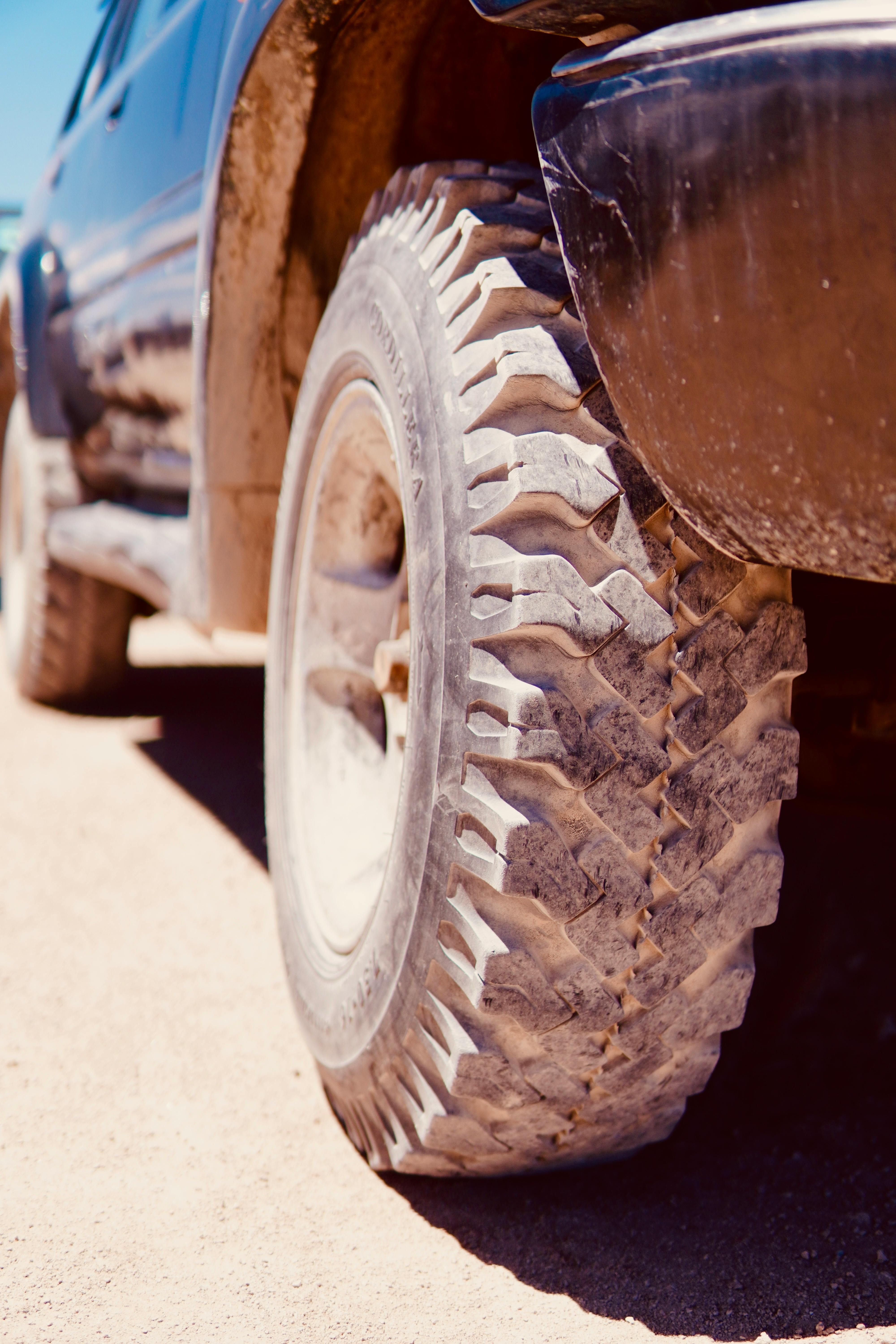 Tire Gator Photos, Download The BEST Free Tire Gator Stock Photos & HD ...
