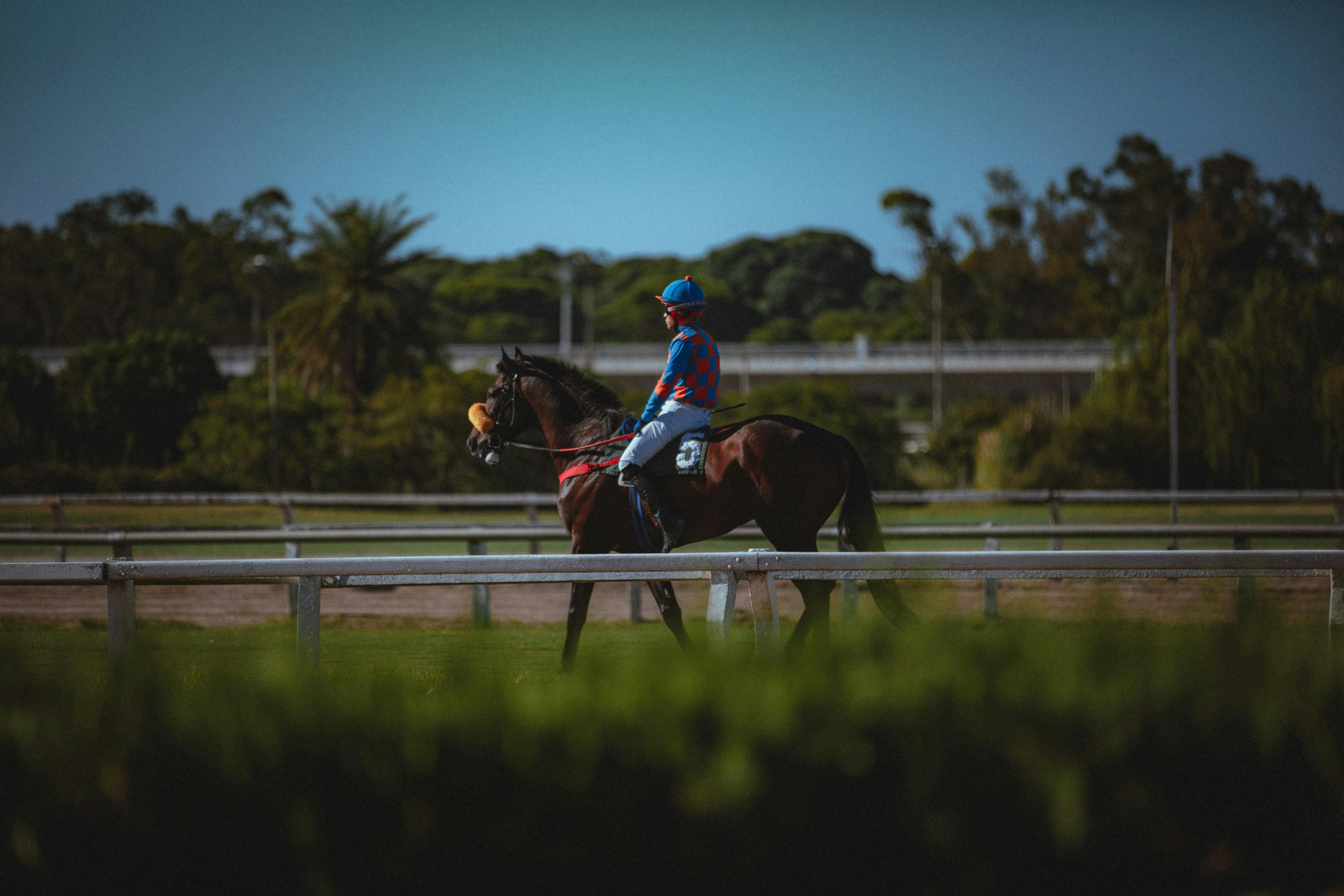 People Horseback Riding · Free Stock Photo
