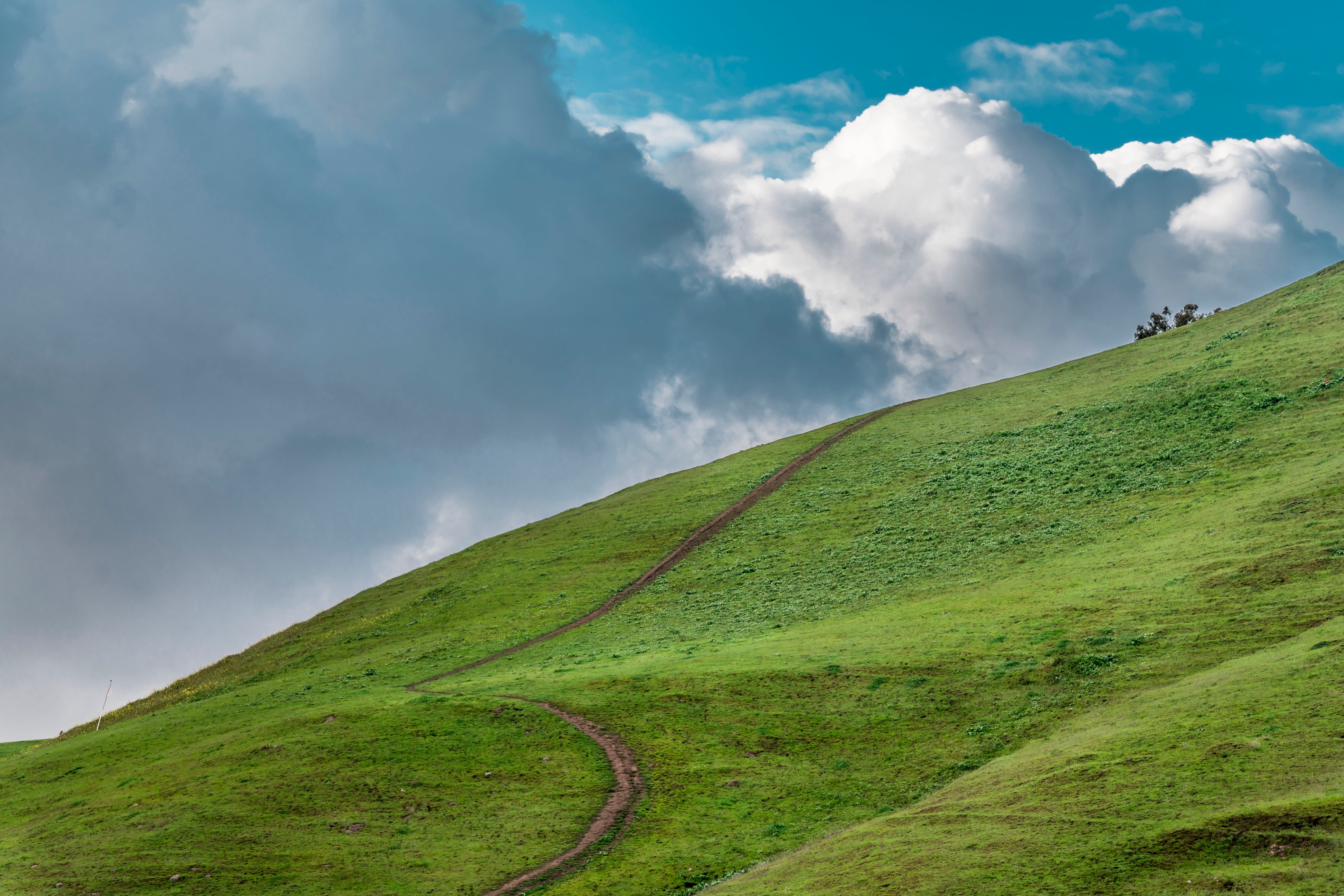 Open Space Green Land Photos, Download The BEST Free Open Space Green ...