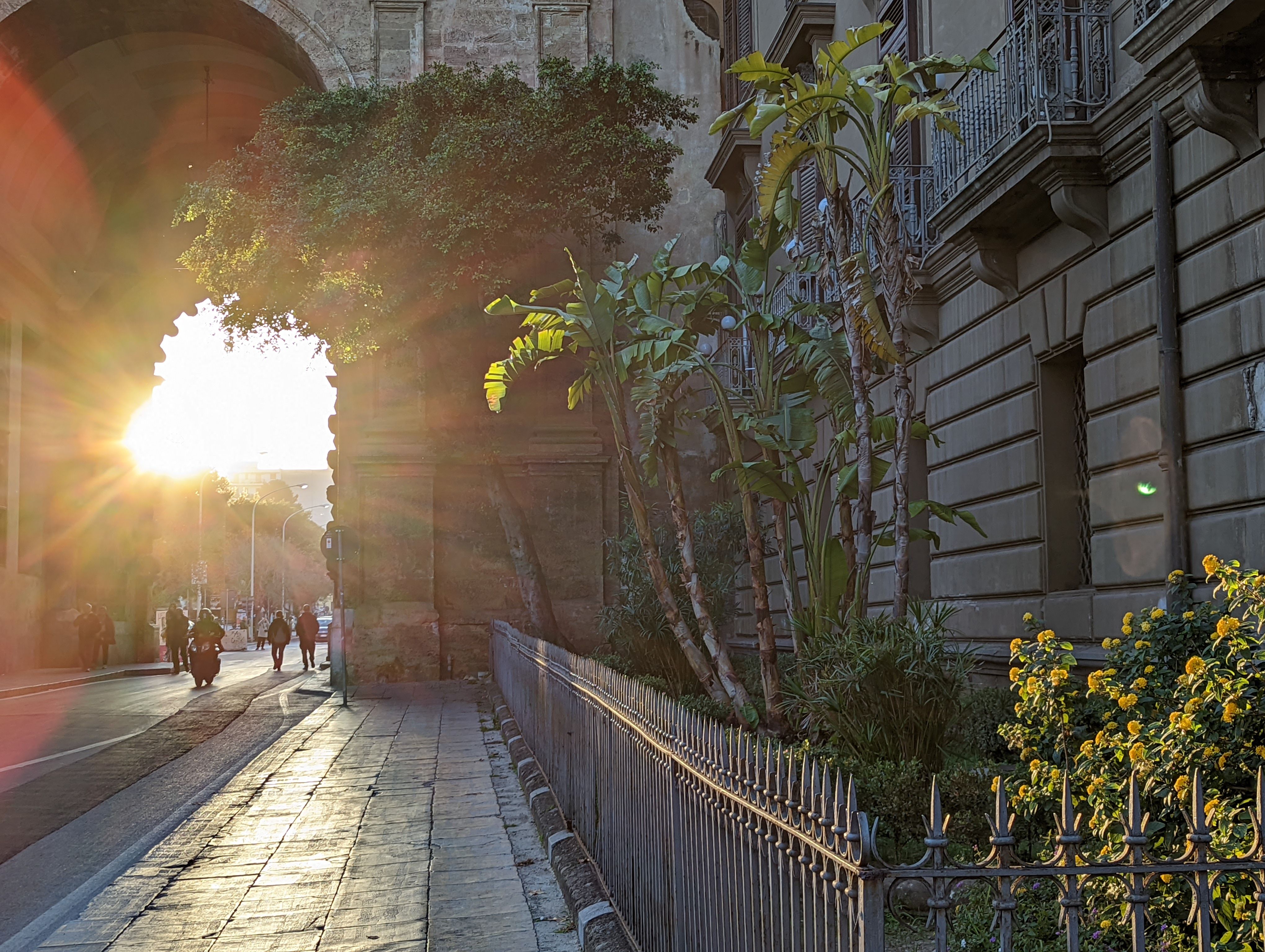 Trees and Plants behind Fence on Sidewalk · Free Stock Photo