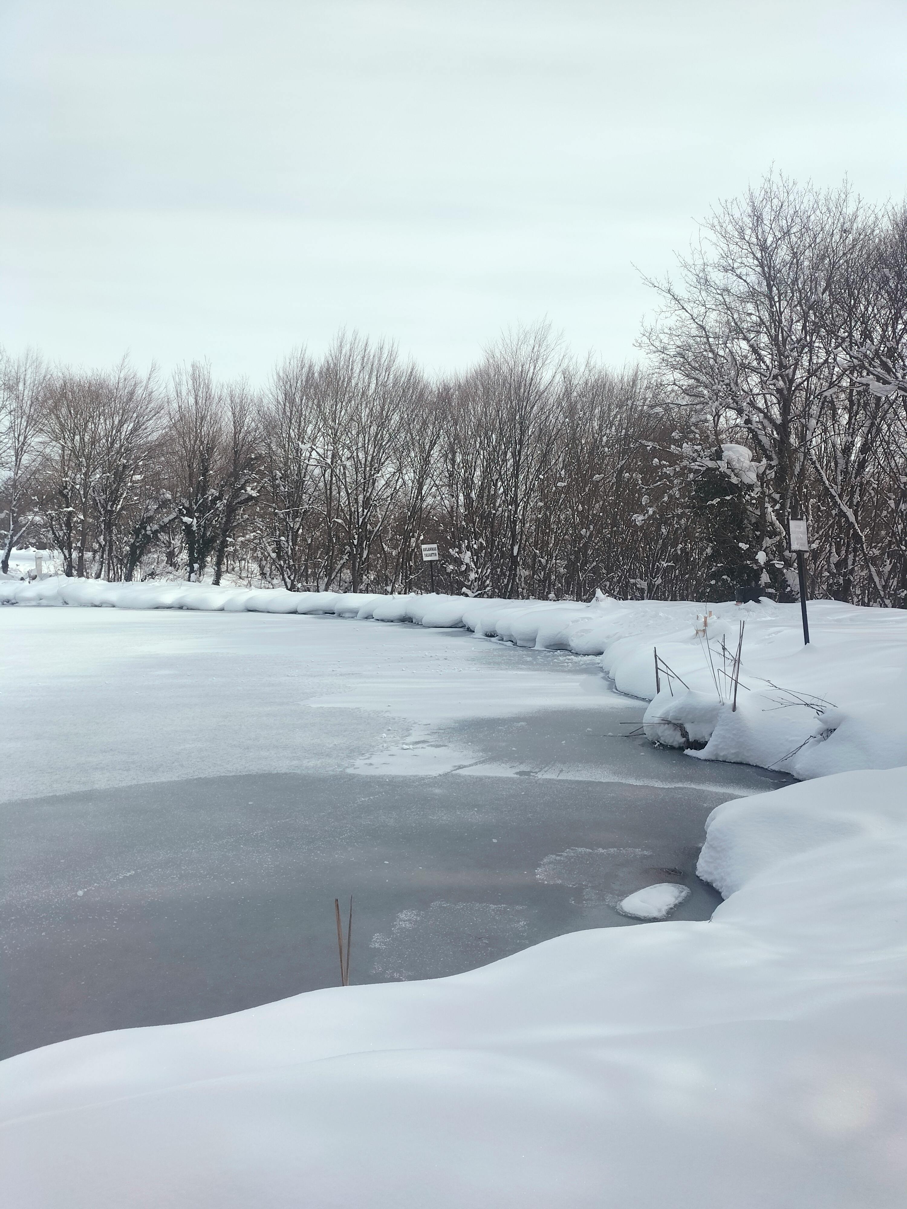 Frozen Lake in a Park · Free Stock Photo