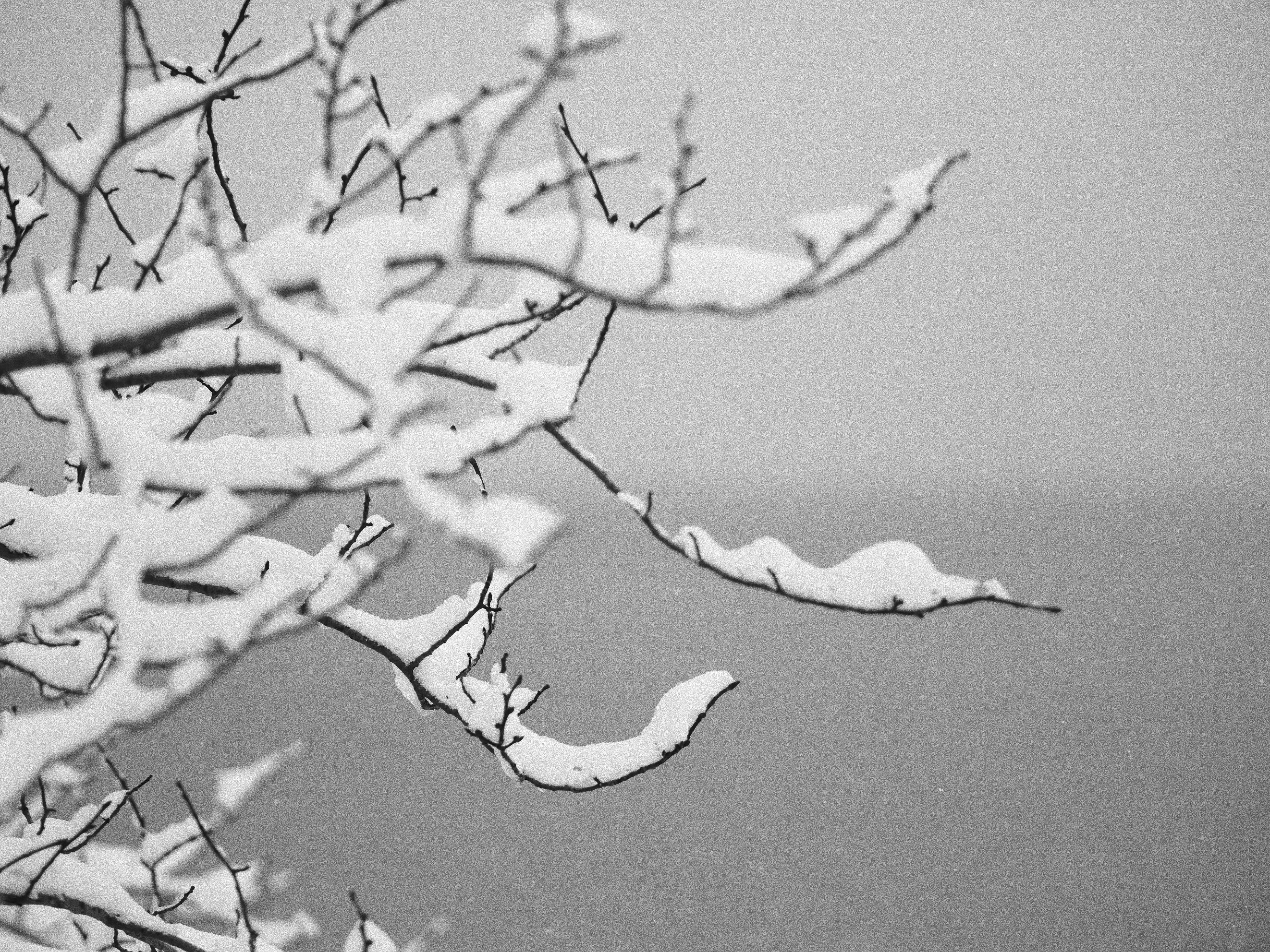 Leonid Danilov - 摄影