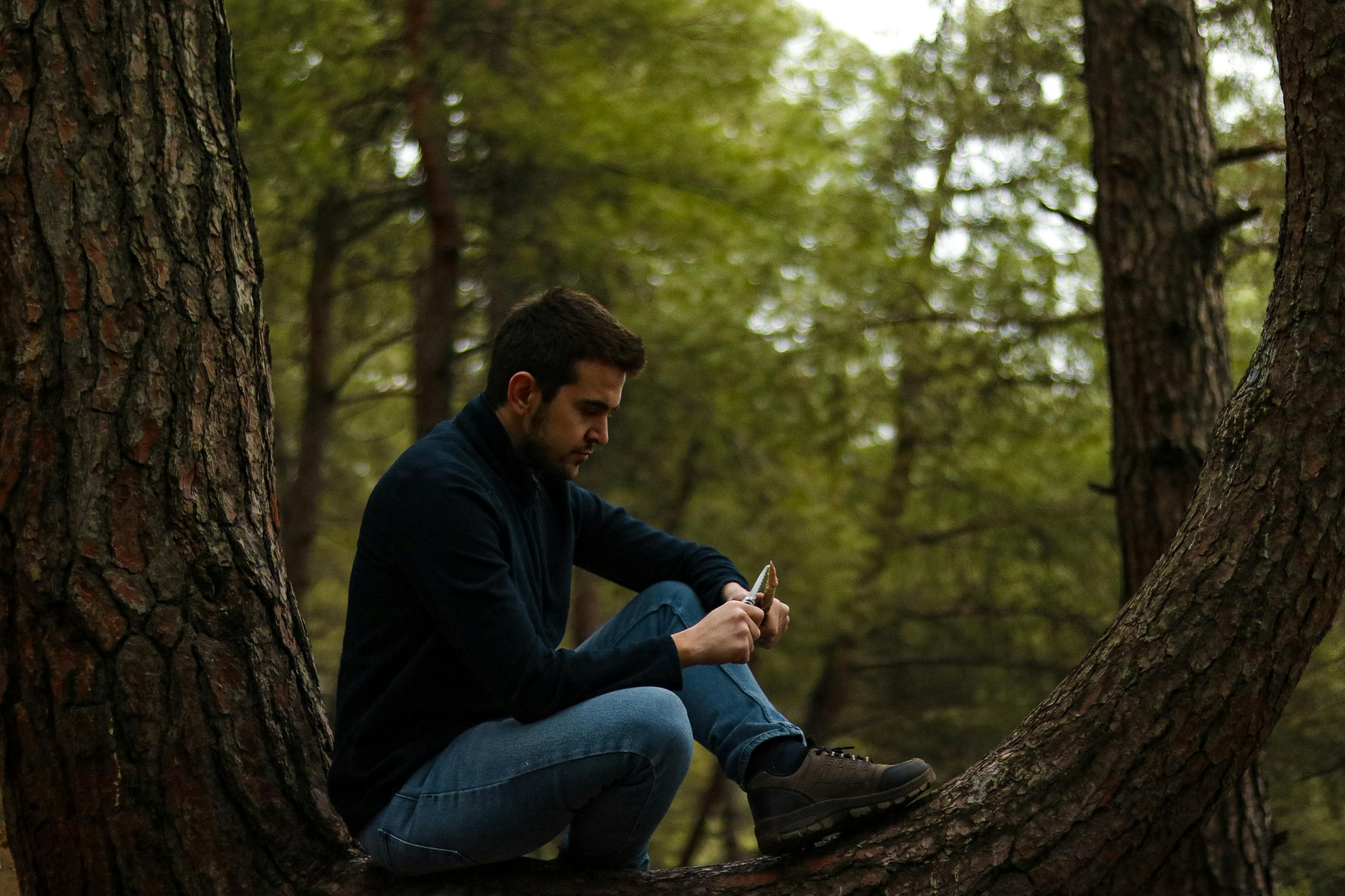 Man Sitting on a Tree · Free Stock Photo
