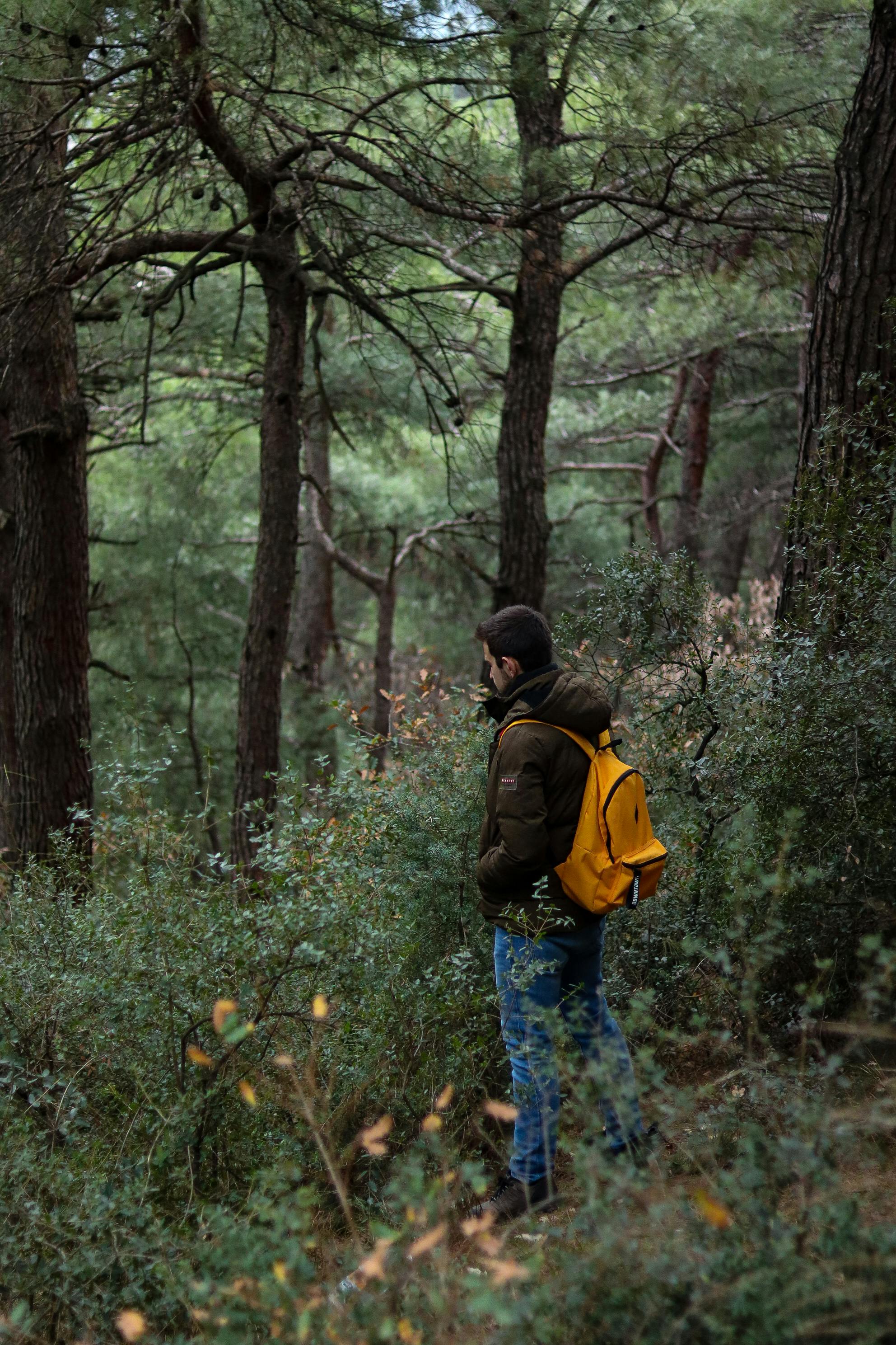 Robed Man In Forest Photos, Download The BEST Free Robed Man In Forest ...