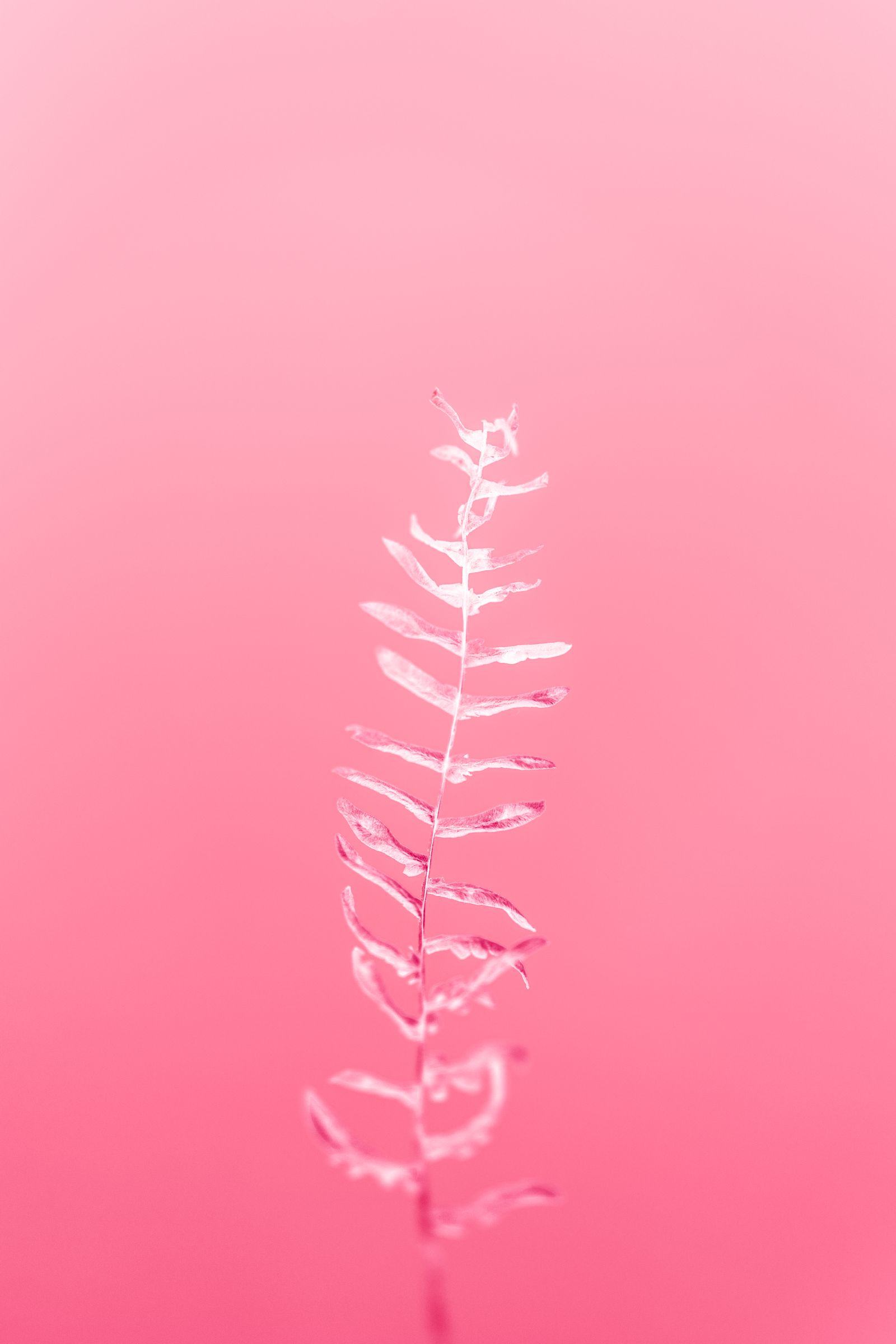 Edit
