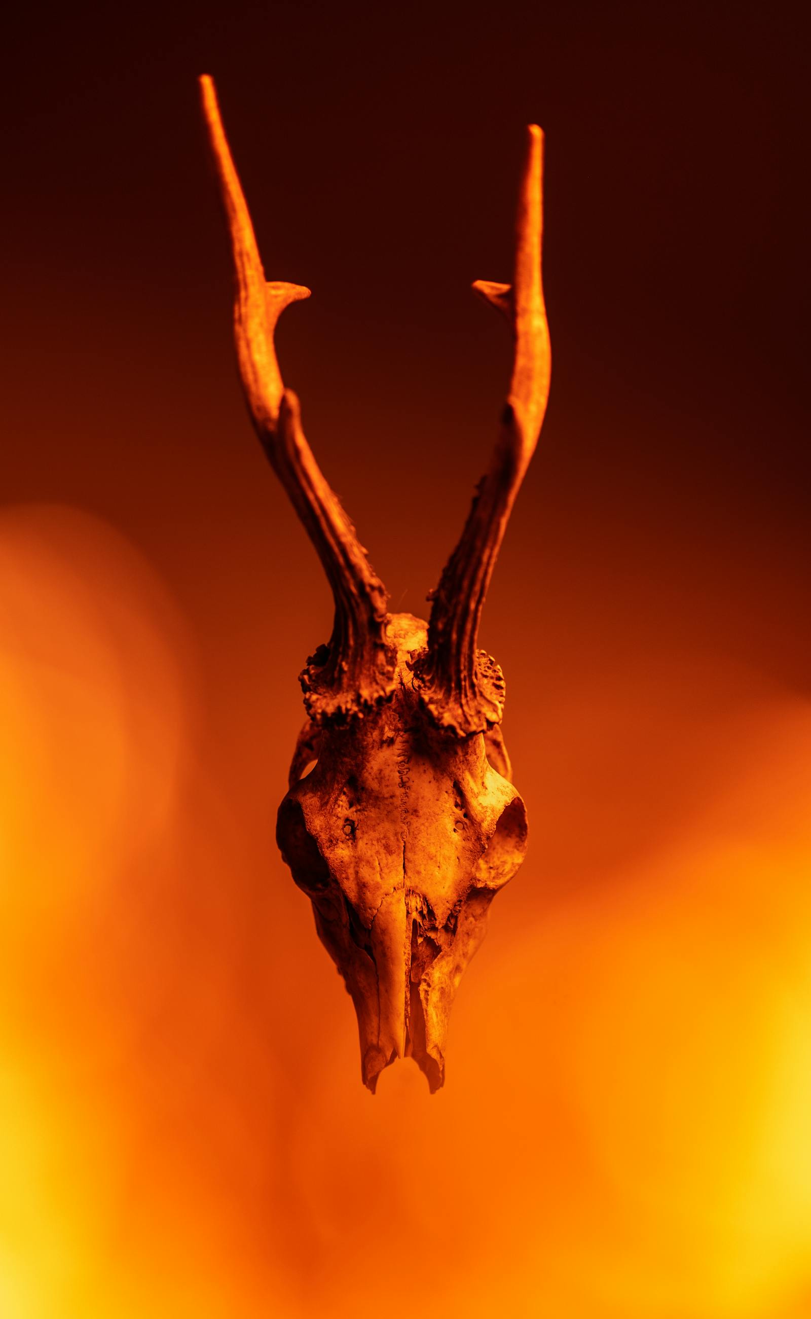 Hell Photos, Download The BEST Free Hell Stock Photos & HD Images