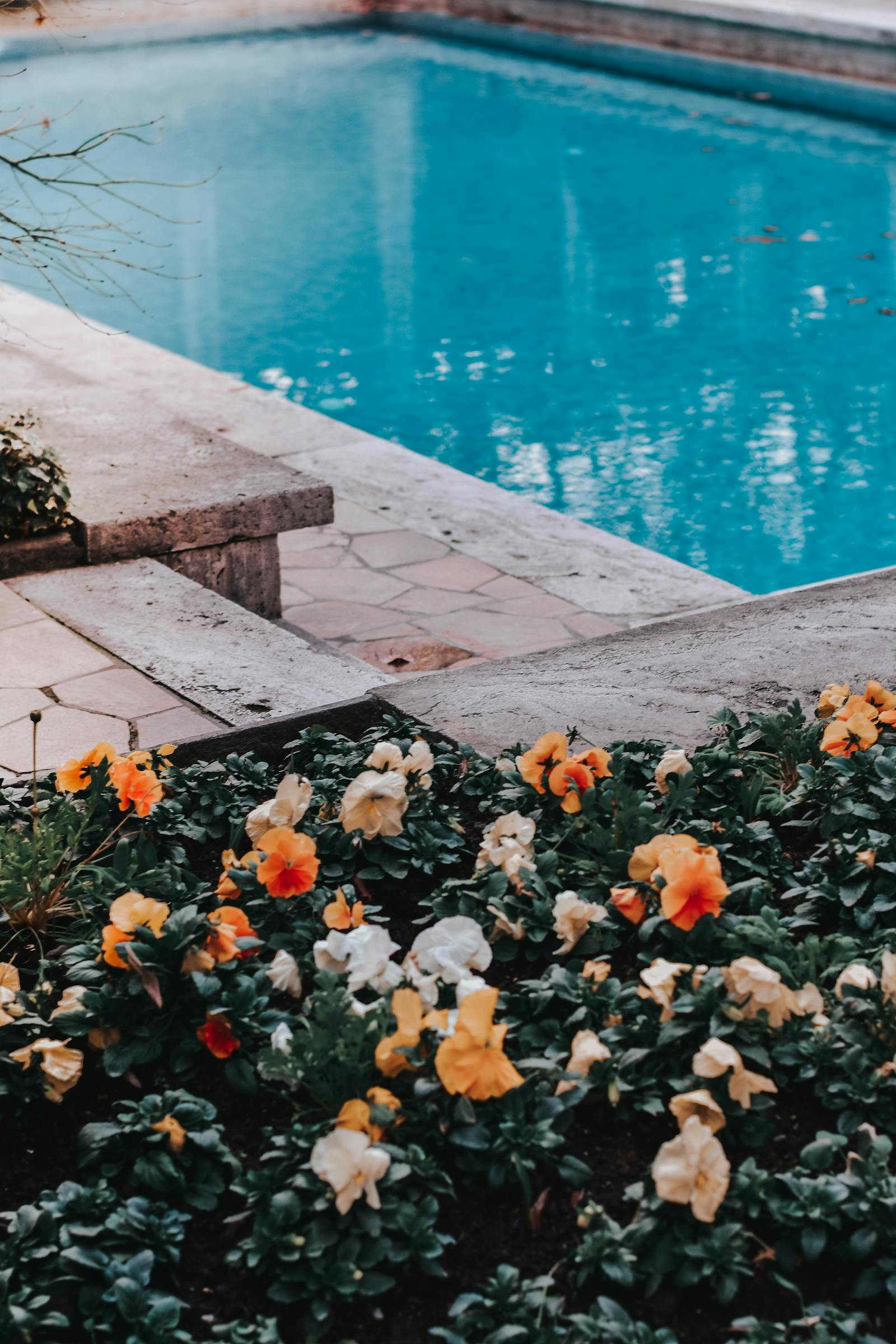 Garden With Swimming Pool, Flowers Photos, Download The BEST Free ...