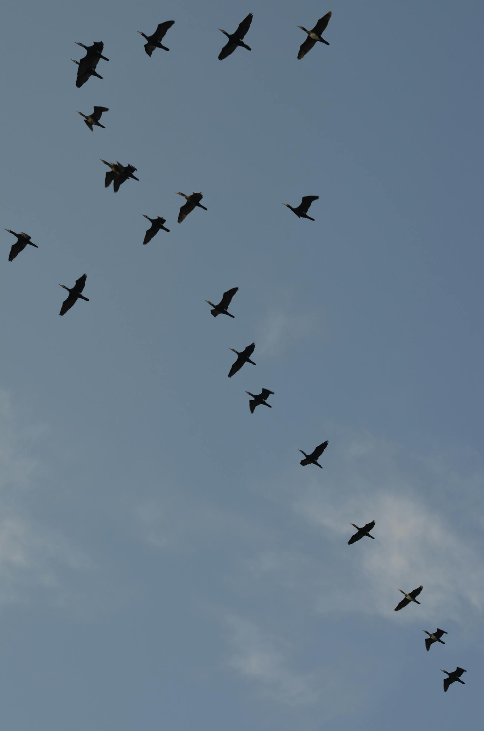 Sky Atrium Photos, Download The BEST Free Sky Atrium Stock Photos & HD ...