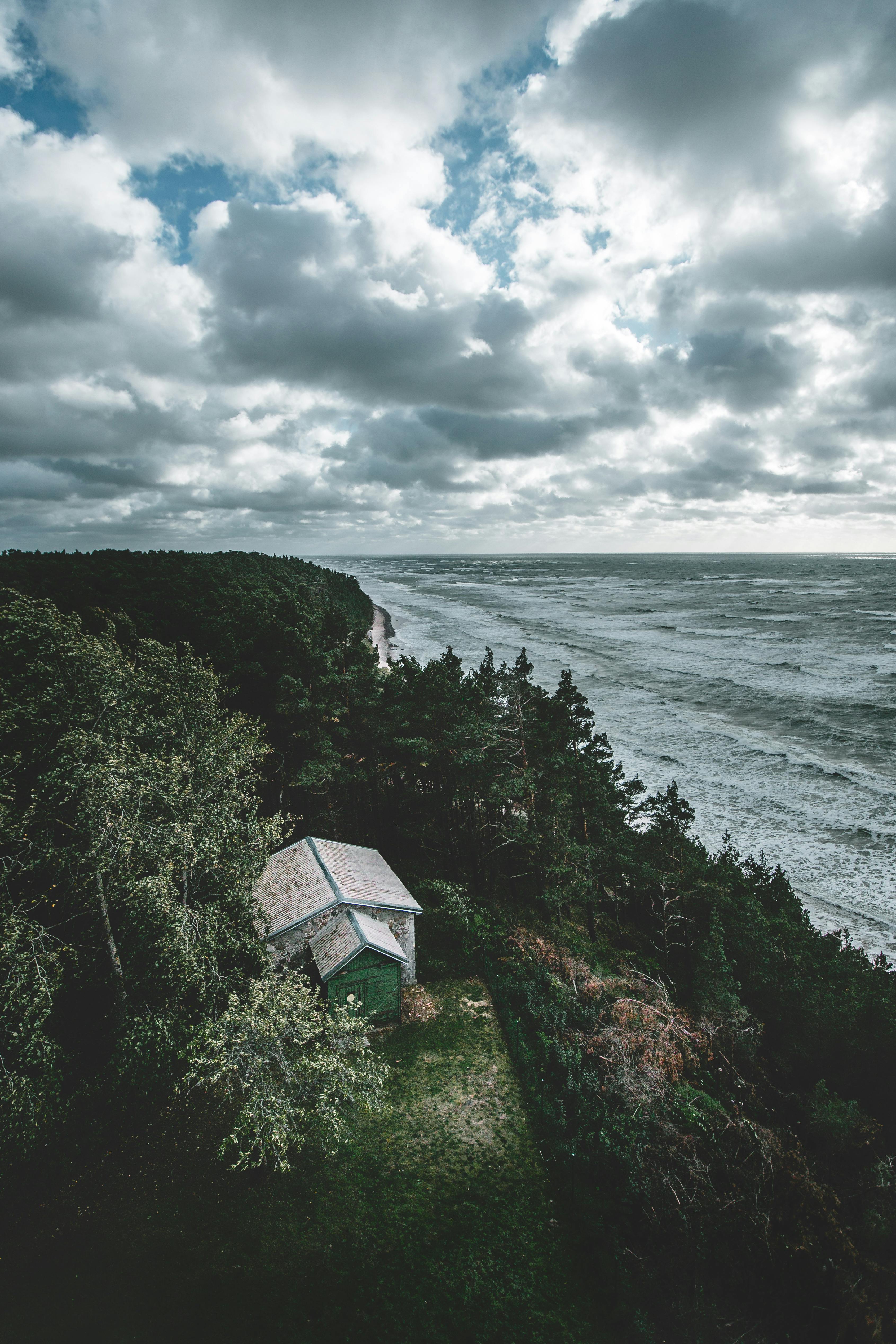 People at Seashore · Free Stock Photo