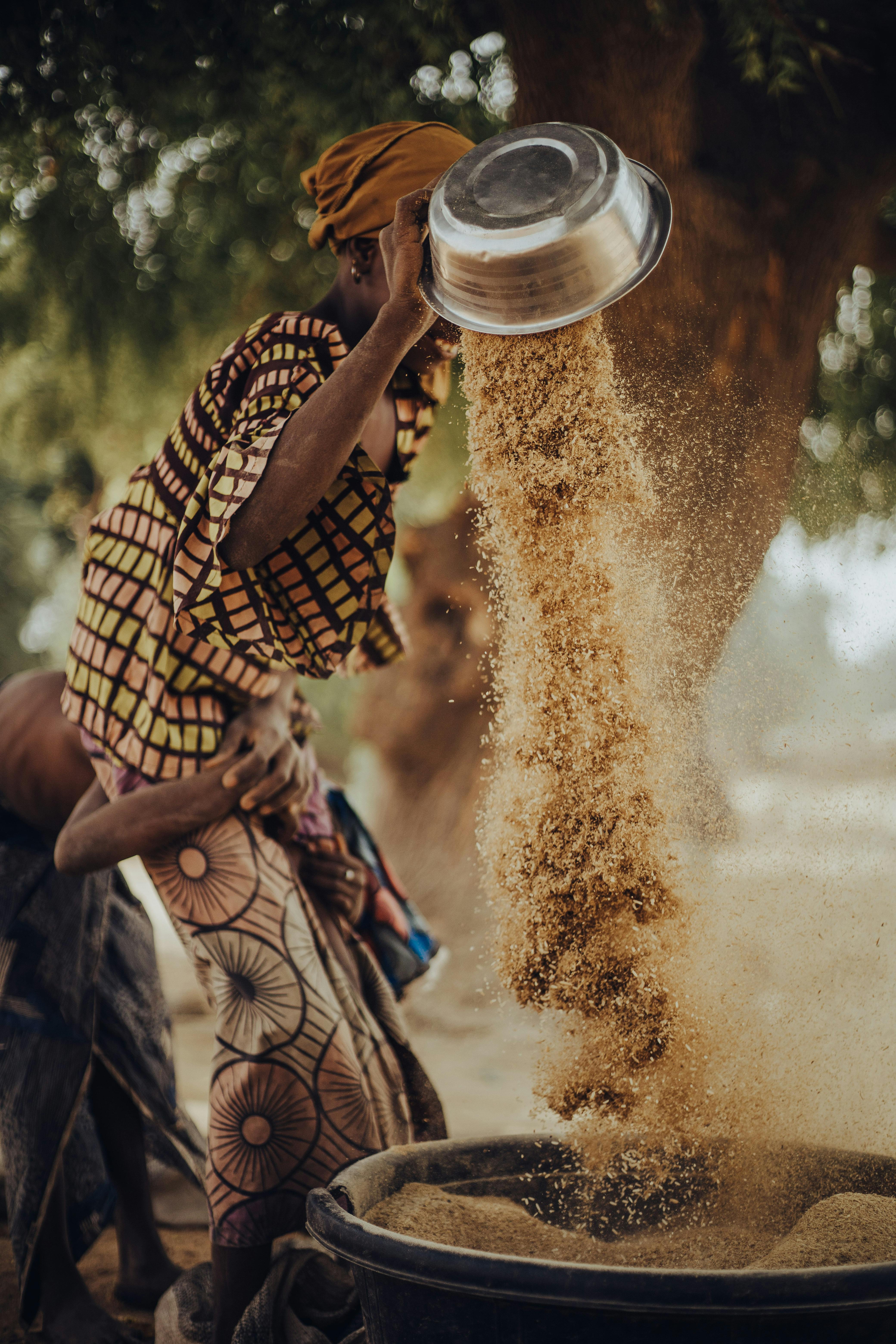 Woman Pouring Spices into Pot · Free Stock Photo