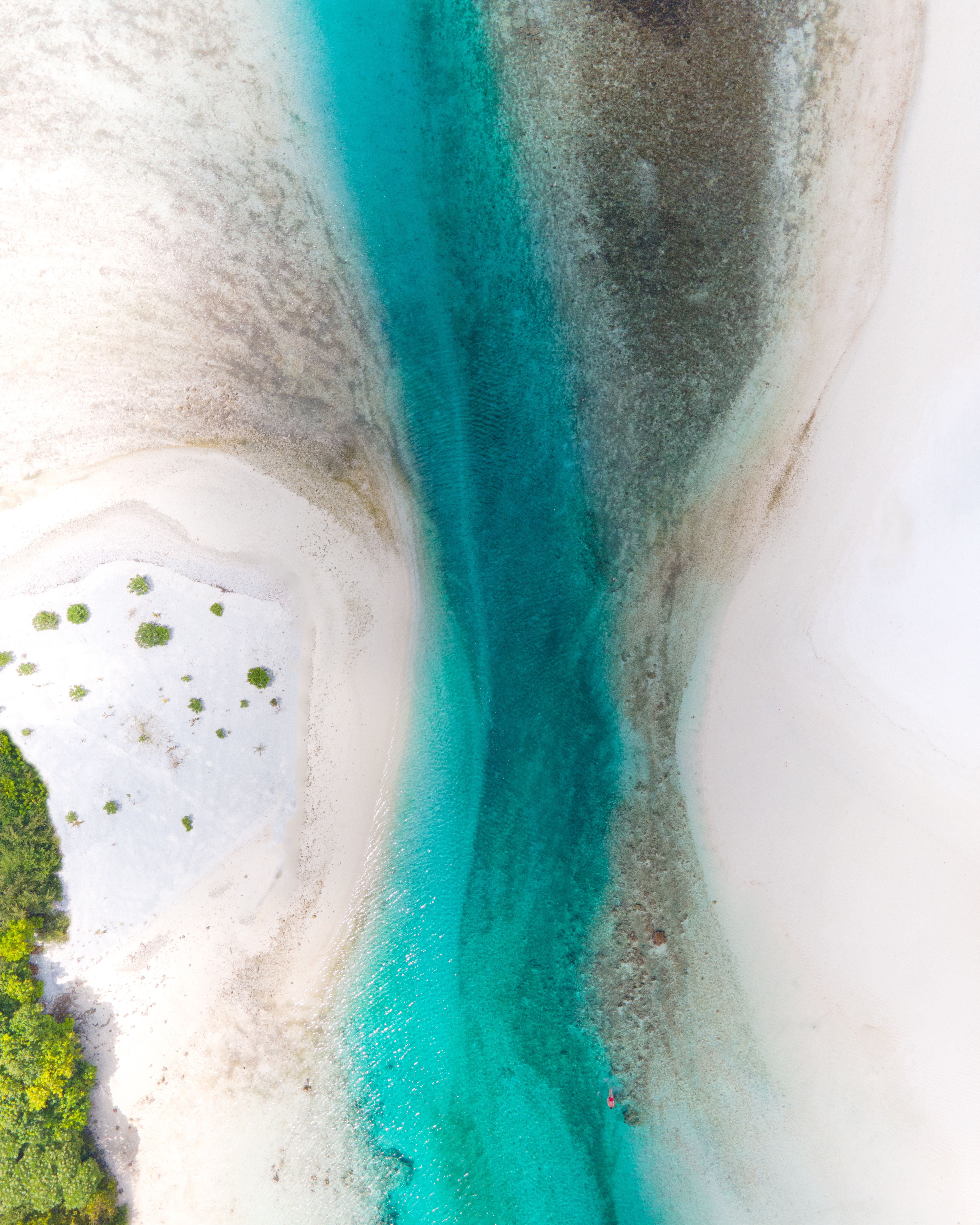 Ocean Shore in Maldives · Free Stock Photo