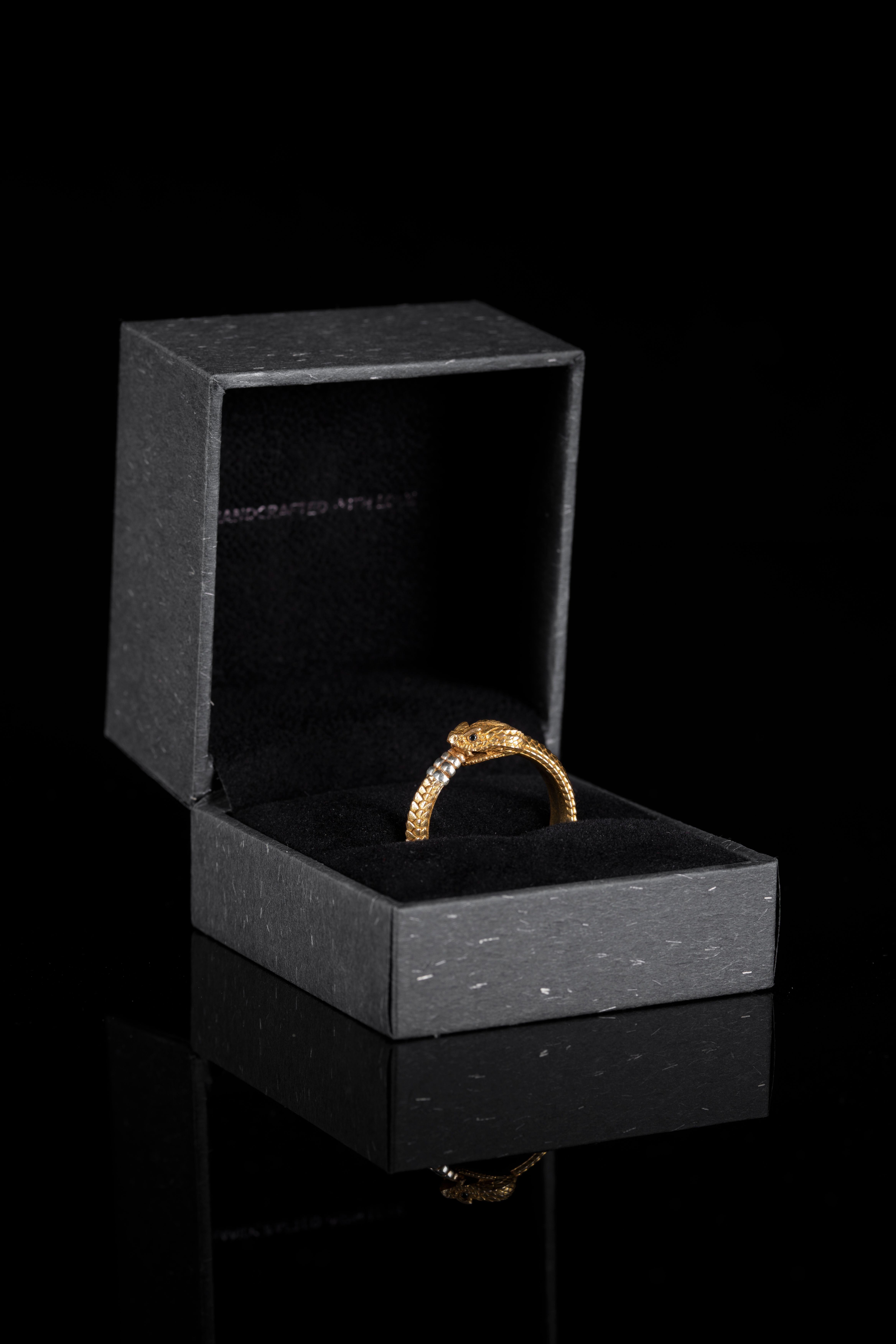 Gold Ring of a Snake Devouring its Tail in a Gray Box · Free Stock Photo