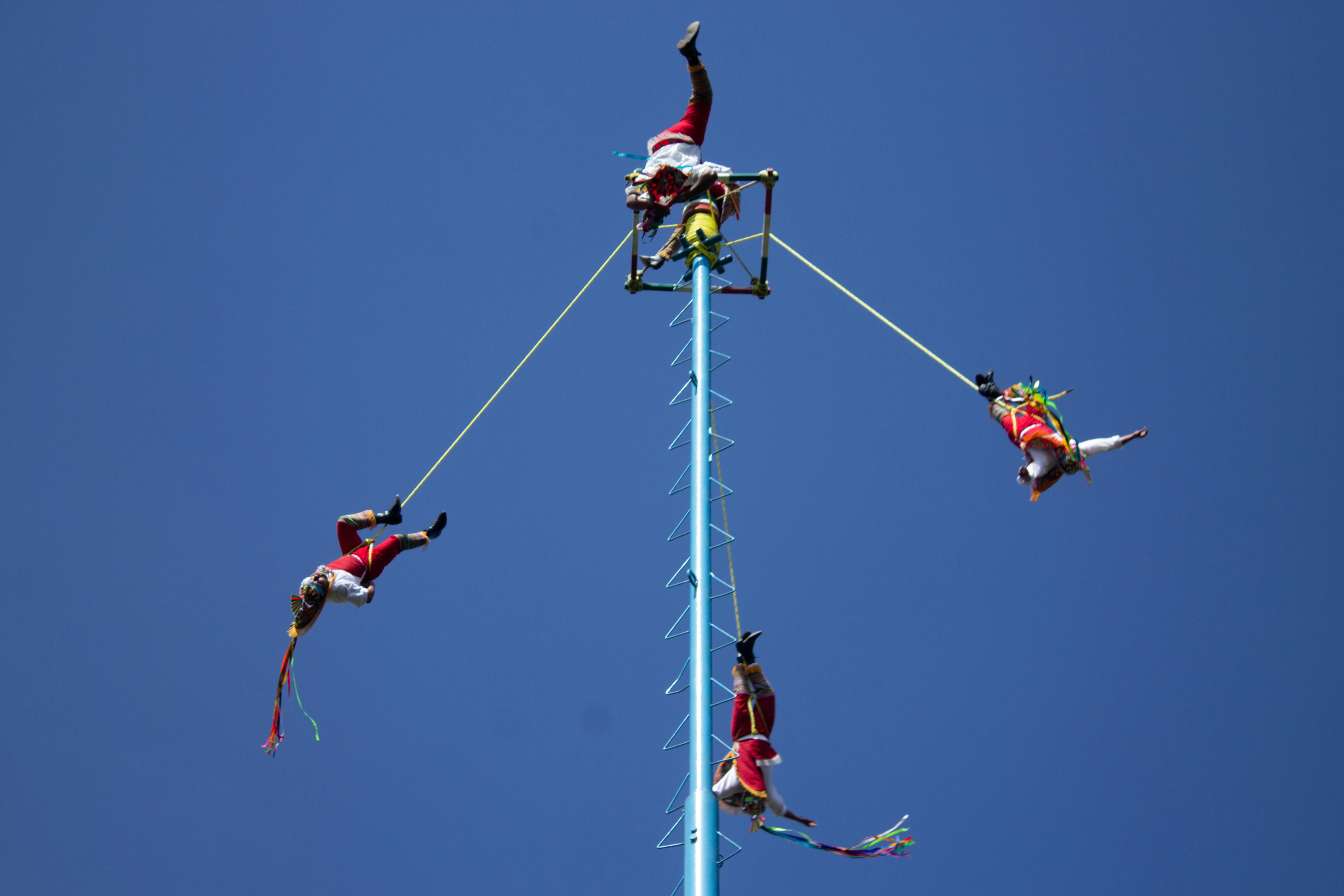 Pole Dancers Photos, Download The BEST Free Pole Dancers Stock Photos ...