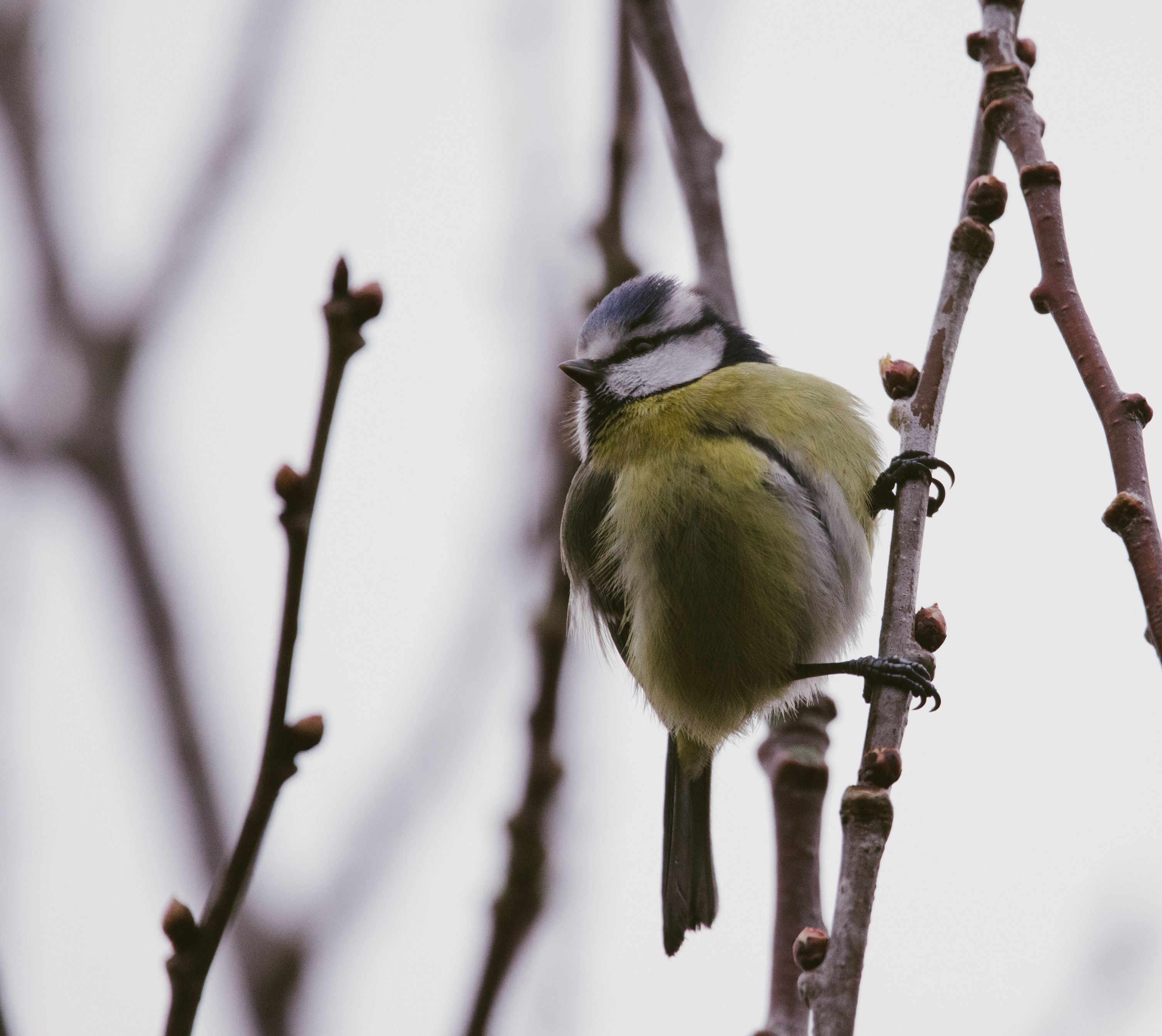 100+ Ord Bursdagskort Bilder und Fotos · Kostenlos Downloaden · Pexels ...