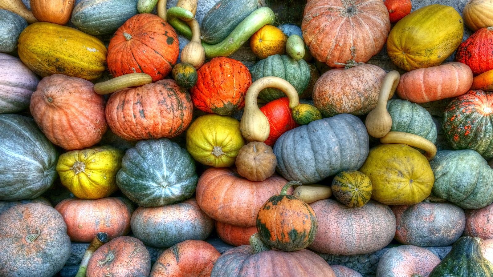 Green Orange and Yellow Pumpkins · Free Stock Photo