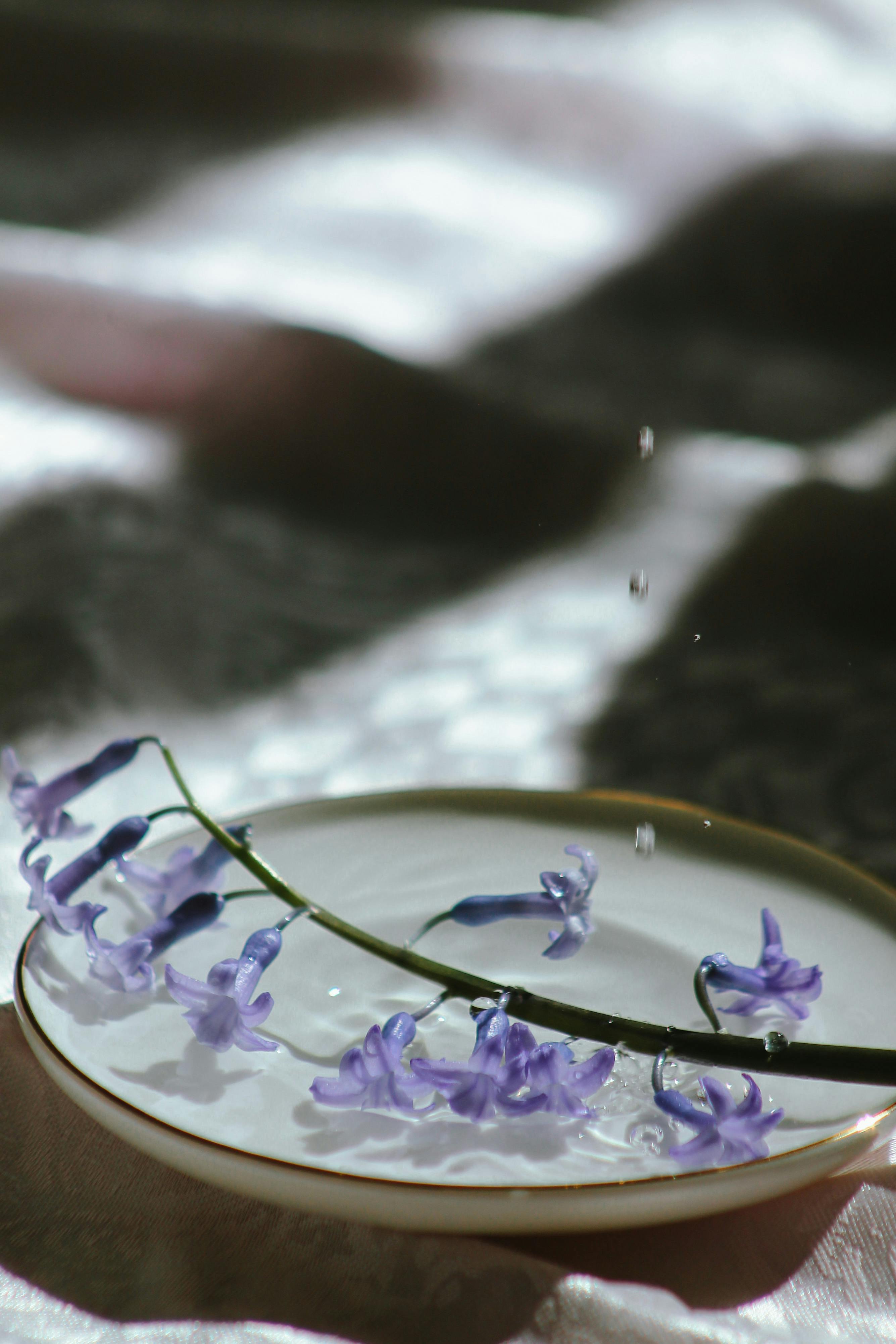 Wildflowers And Water Photos, Download The BEST Free Wildflowers And ...