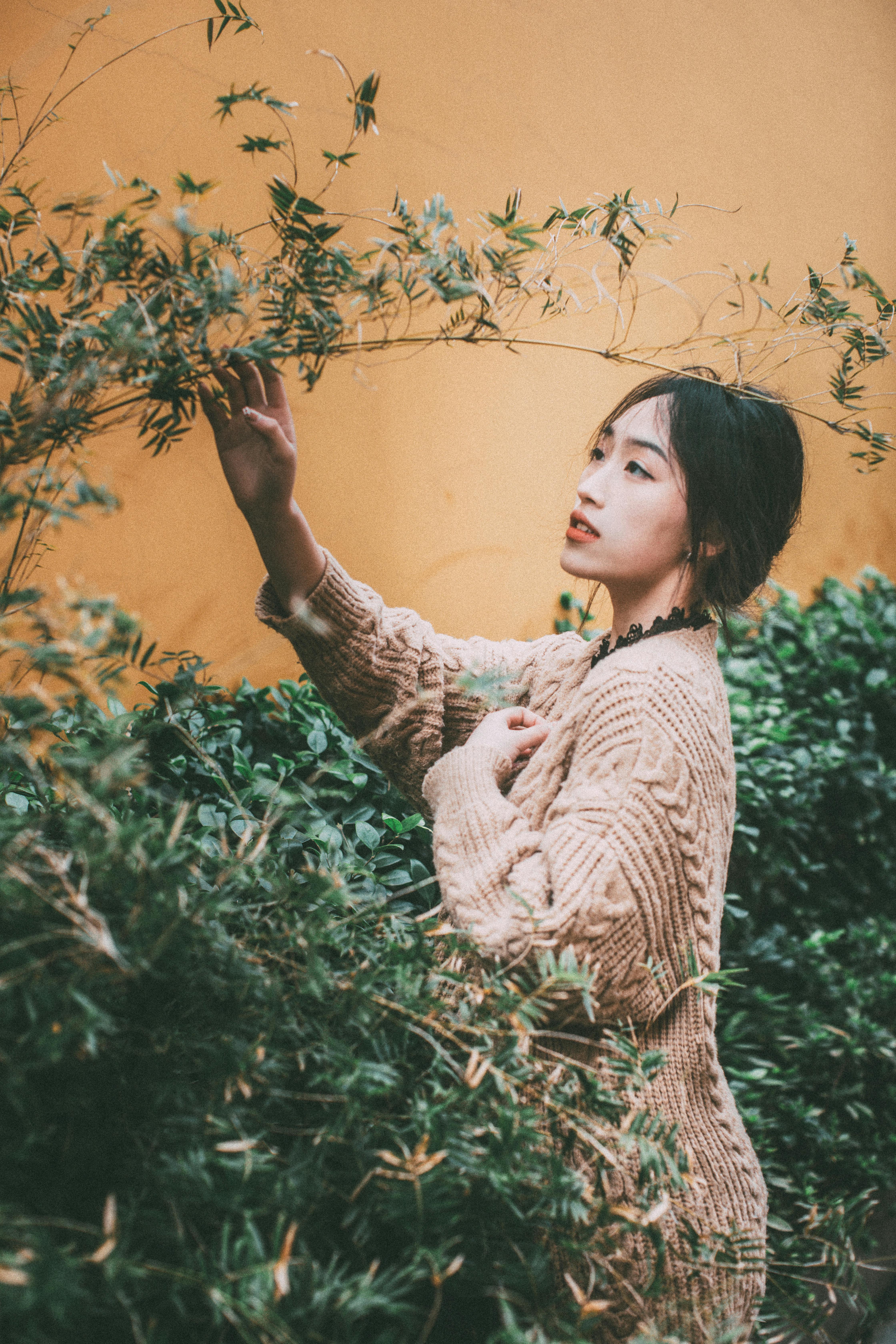 Portrait At Noon Photos, Download The BEST Free Portrait At Noon Stock ...