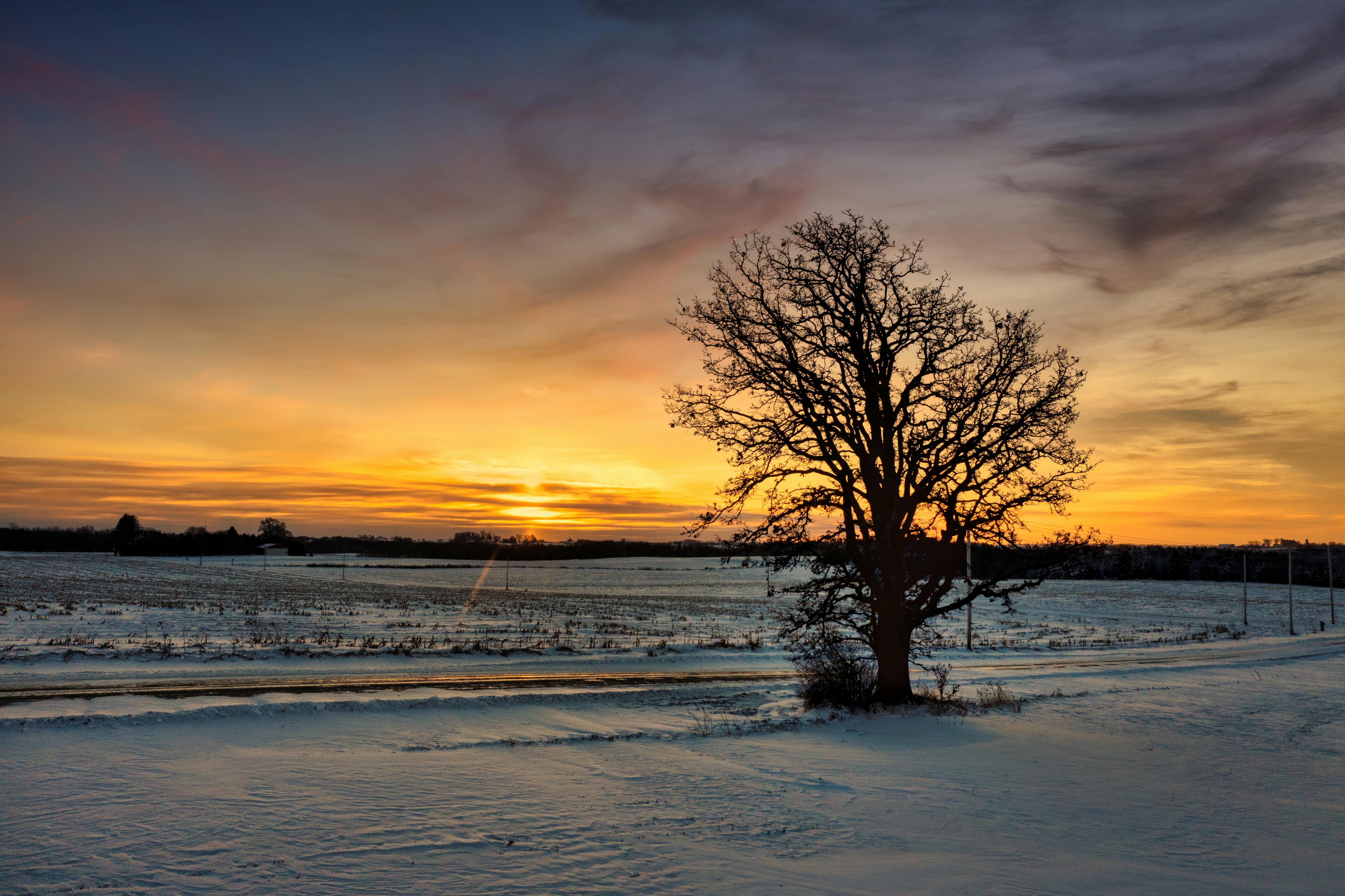 Countryside in Winter at Dawn · Free Stock Photo