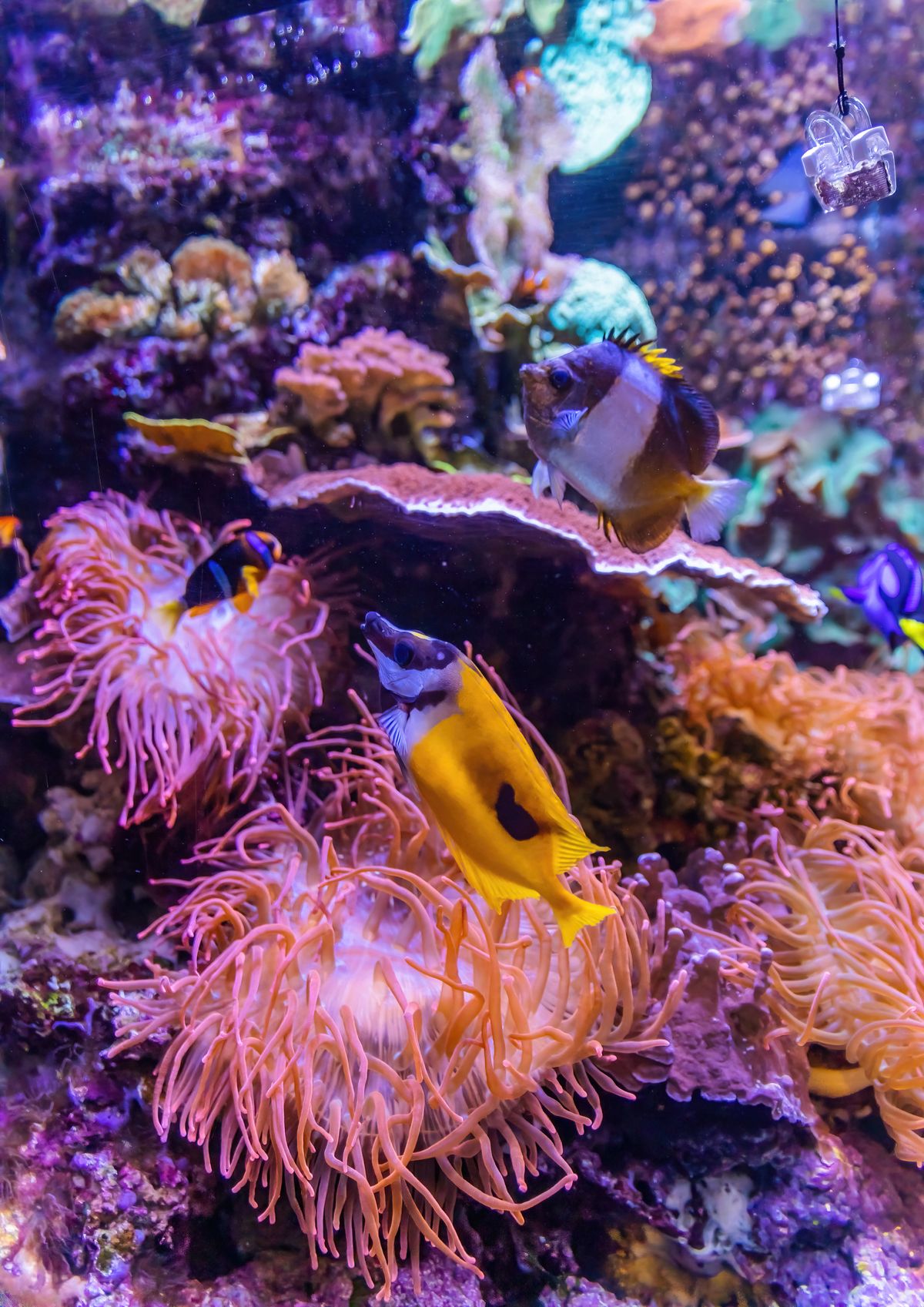 Seabed Photos, Download The BEST Free Seabed Stock Photos & HD Images