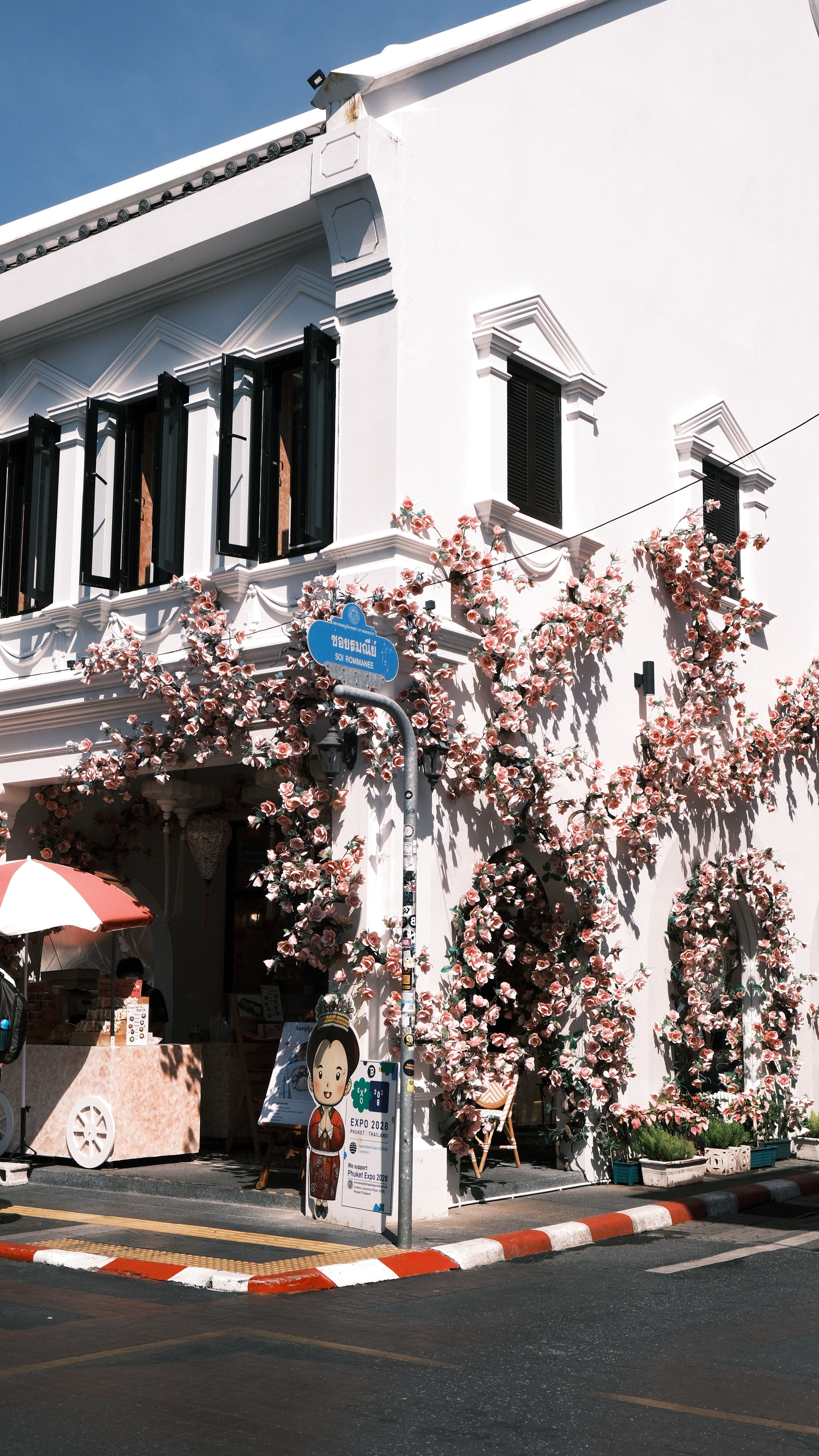Flower Plant Growing on Facade · Free Stock Photo