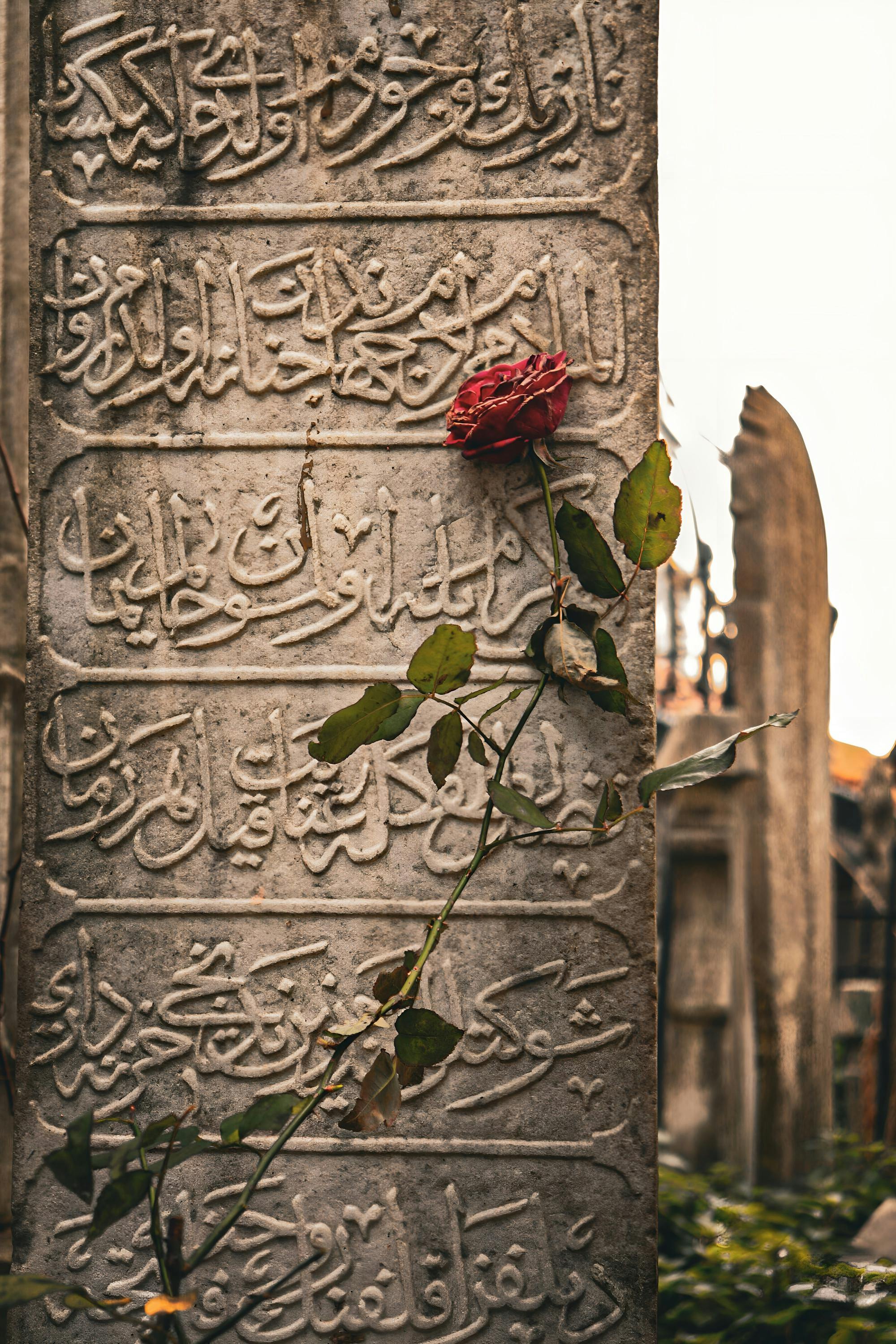 The Islam Cemetery Photos, Download The BEST Free The Islam Cemetery ...