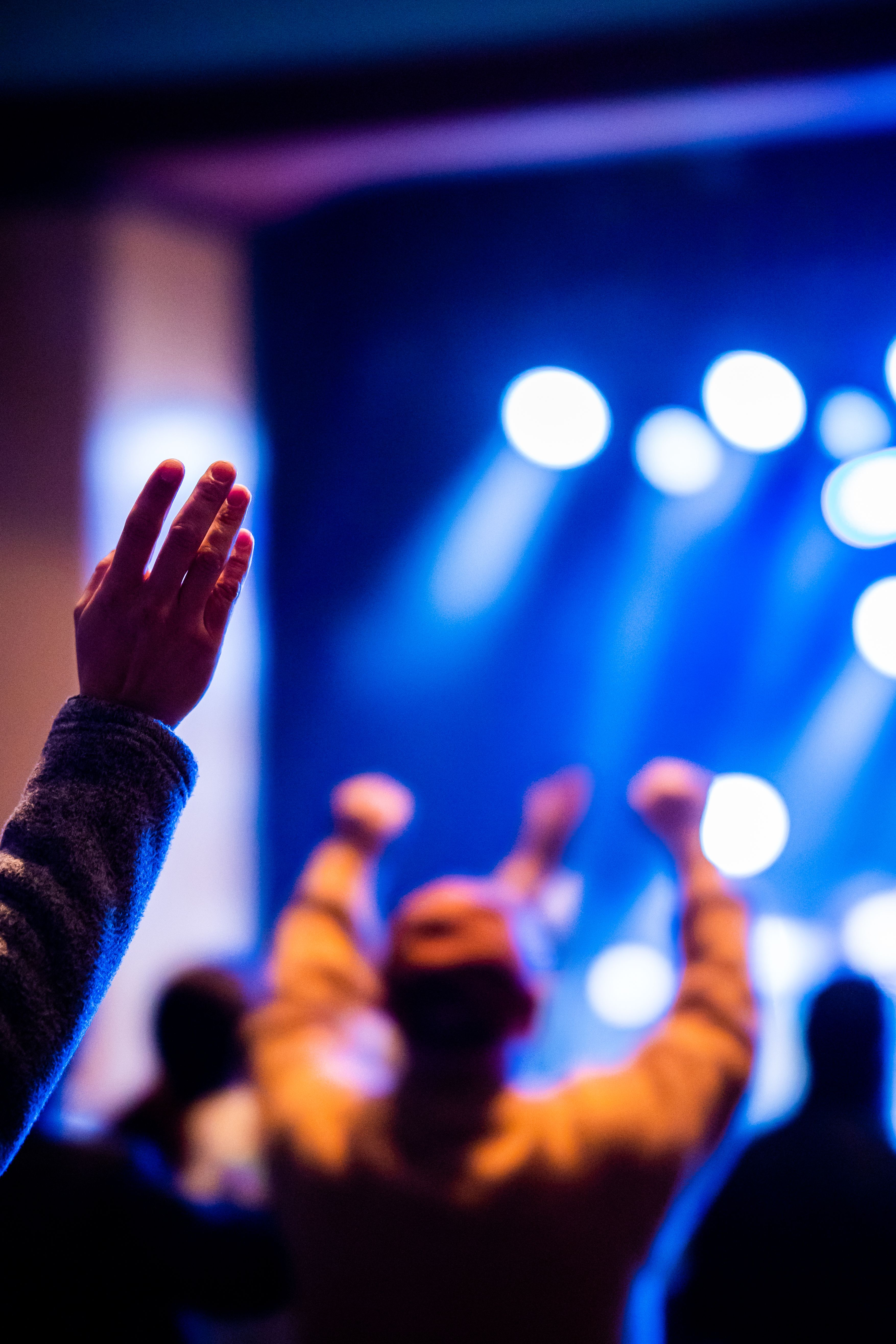 People Having Fun at a Concert · Free Stock Photo