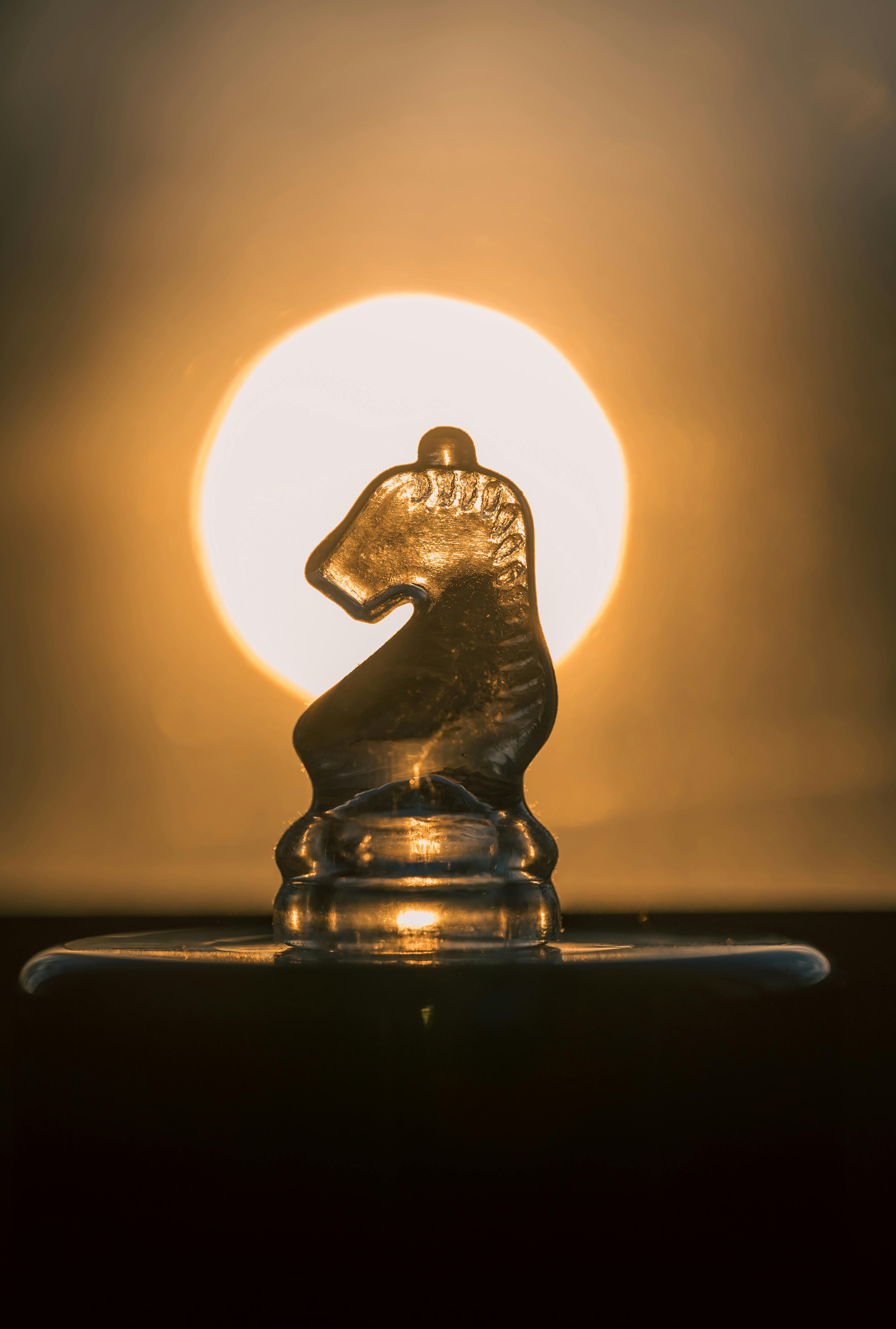 Close-up of the Knight Chess Piece · Free Stock Photo