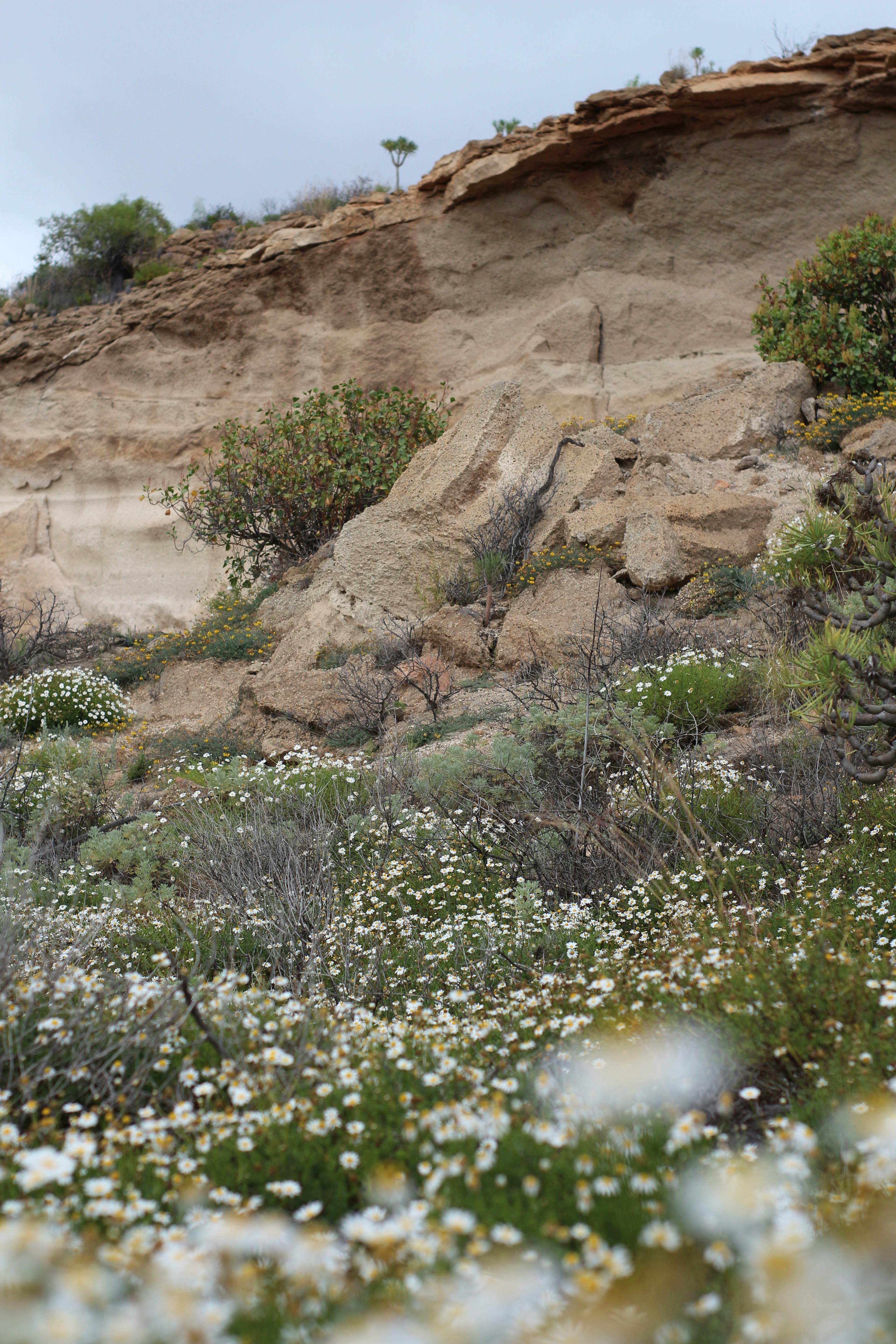 Disco Ground Photos, Download The BEST Free Disco Ground Stock Photos ...