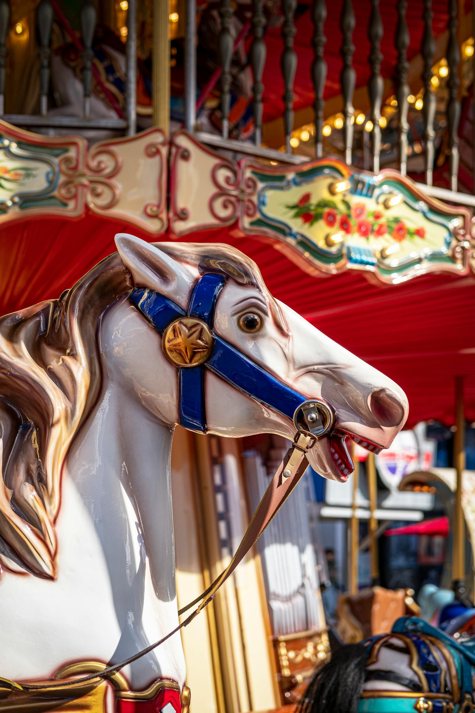 Carousel Horse Photos, Download The BEST Free Carousel Horse Stock ...