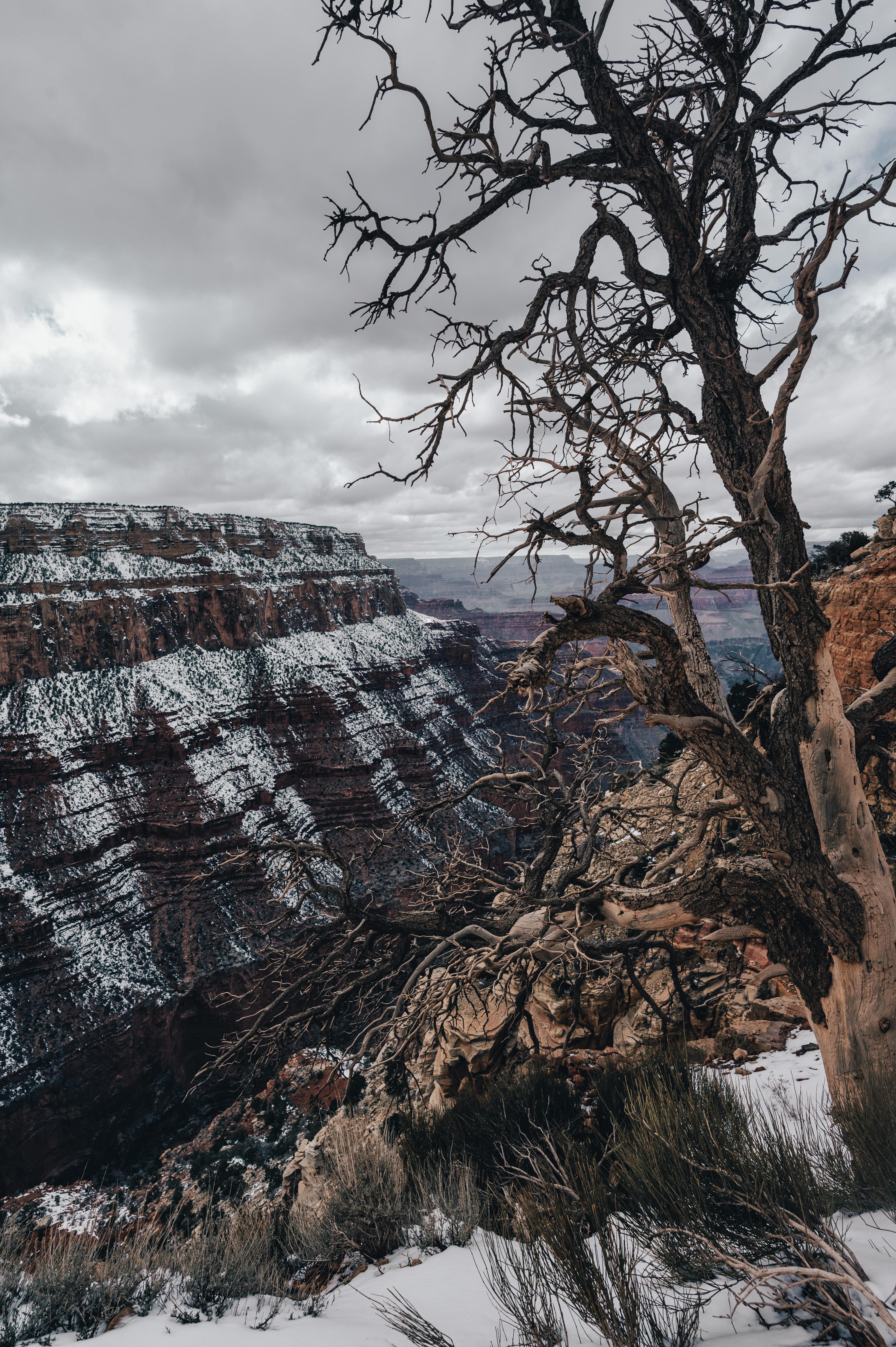 Grand Canyon Red Rocks · Free Stock Photo