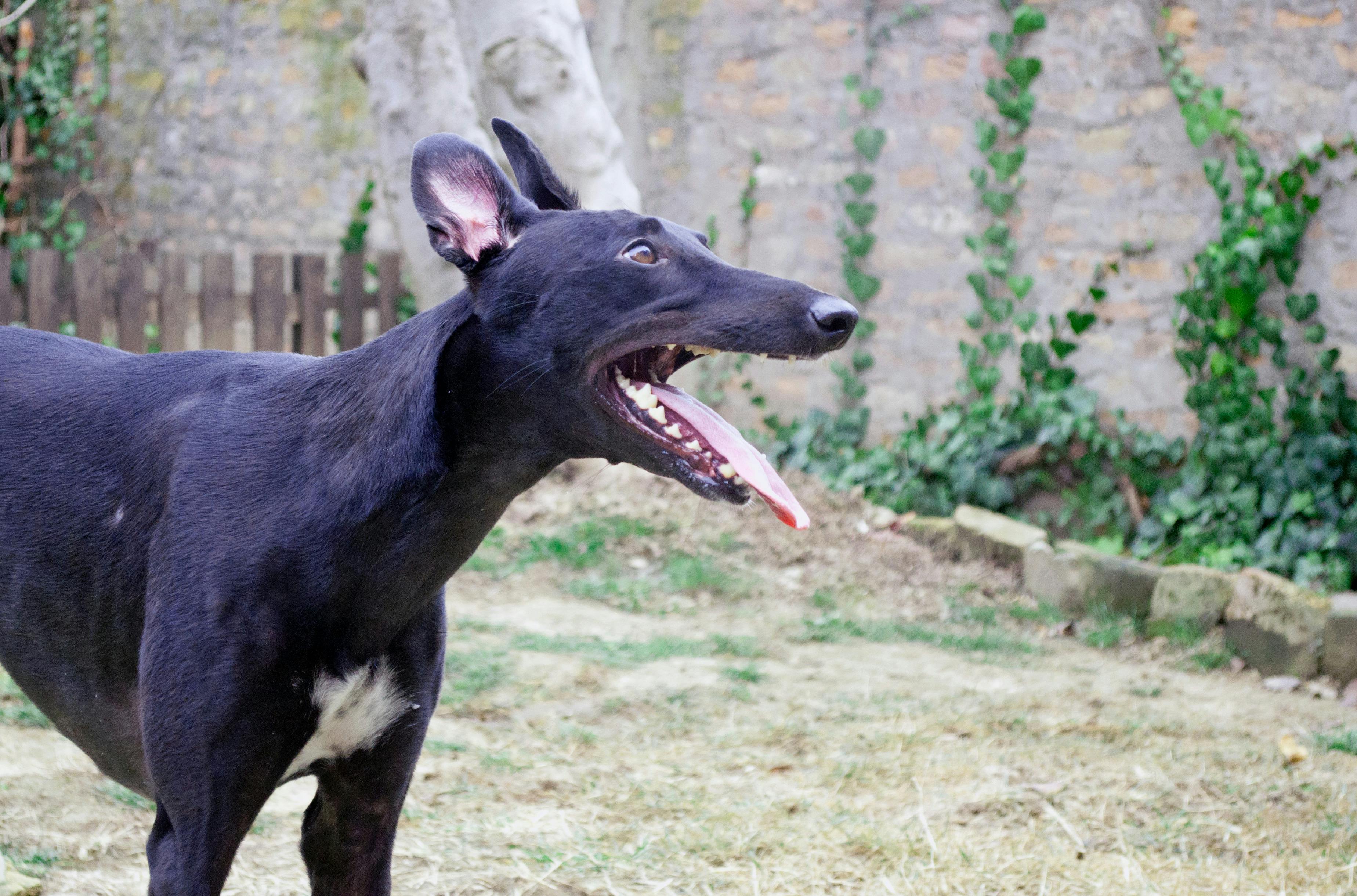 Milica Popovic - 摄影