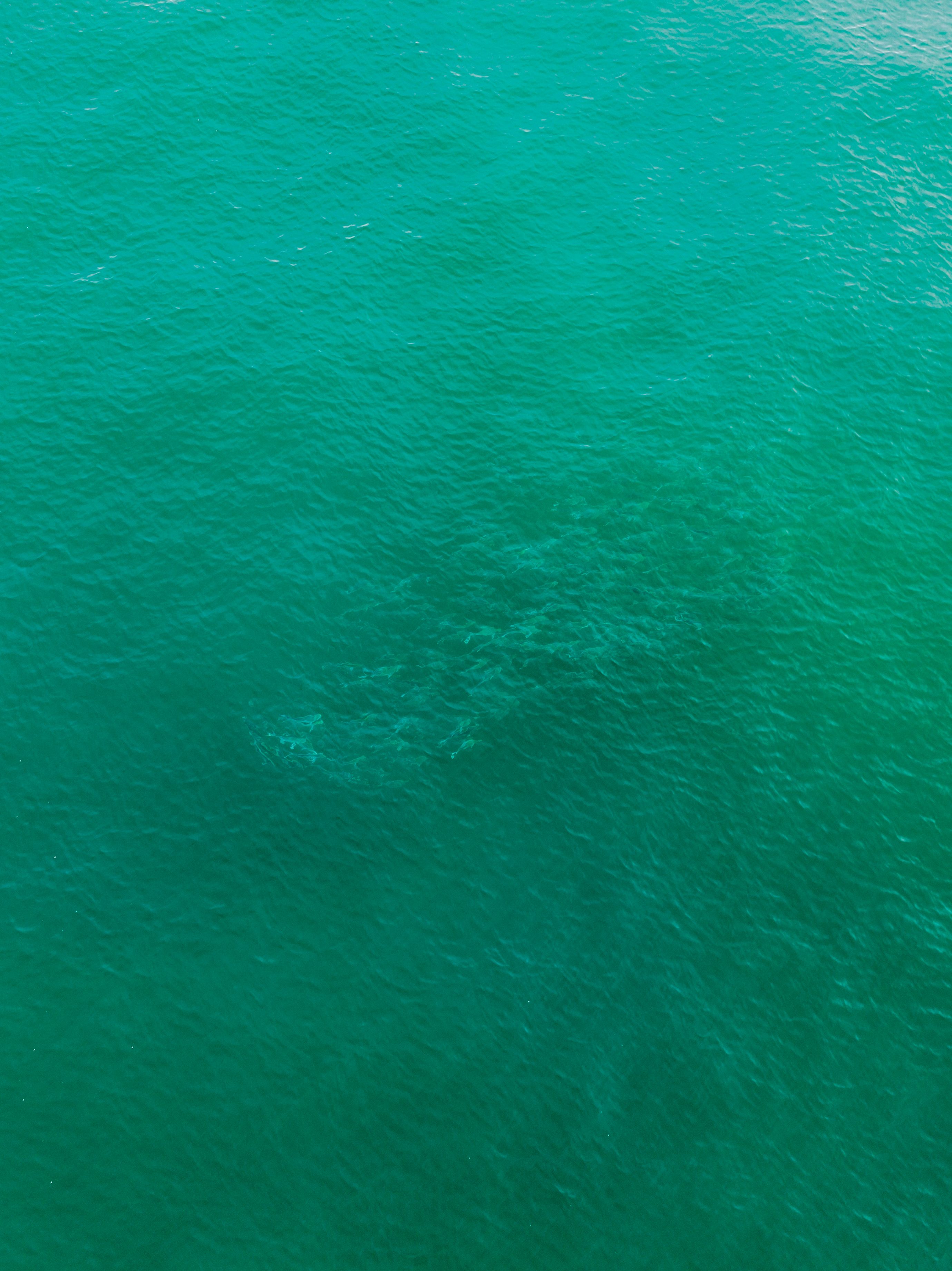 Green Deep Sea · Free Stock Photo