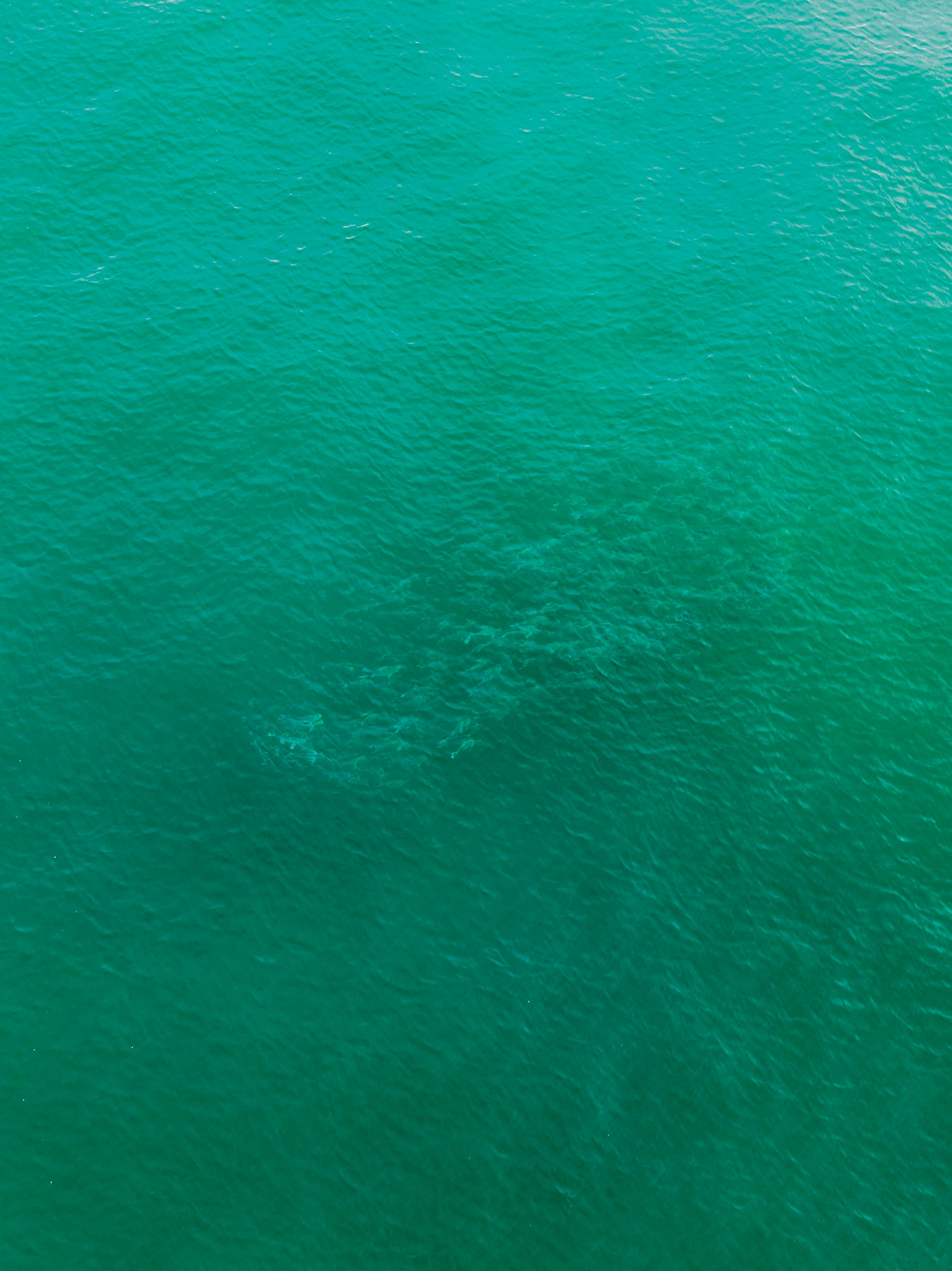 Green Deep Sea · Free Stock Photo