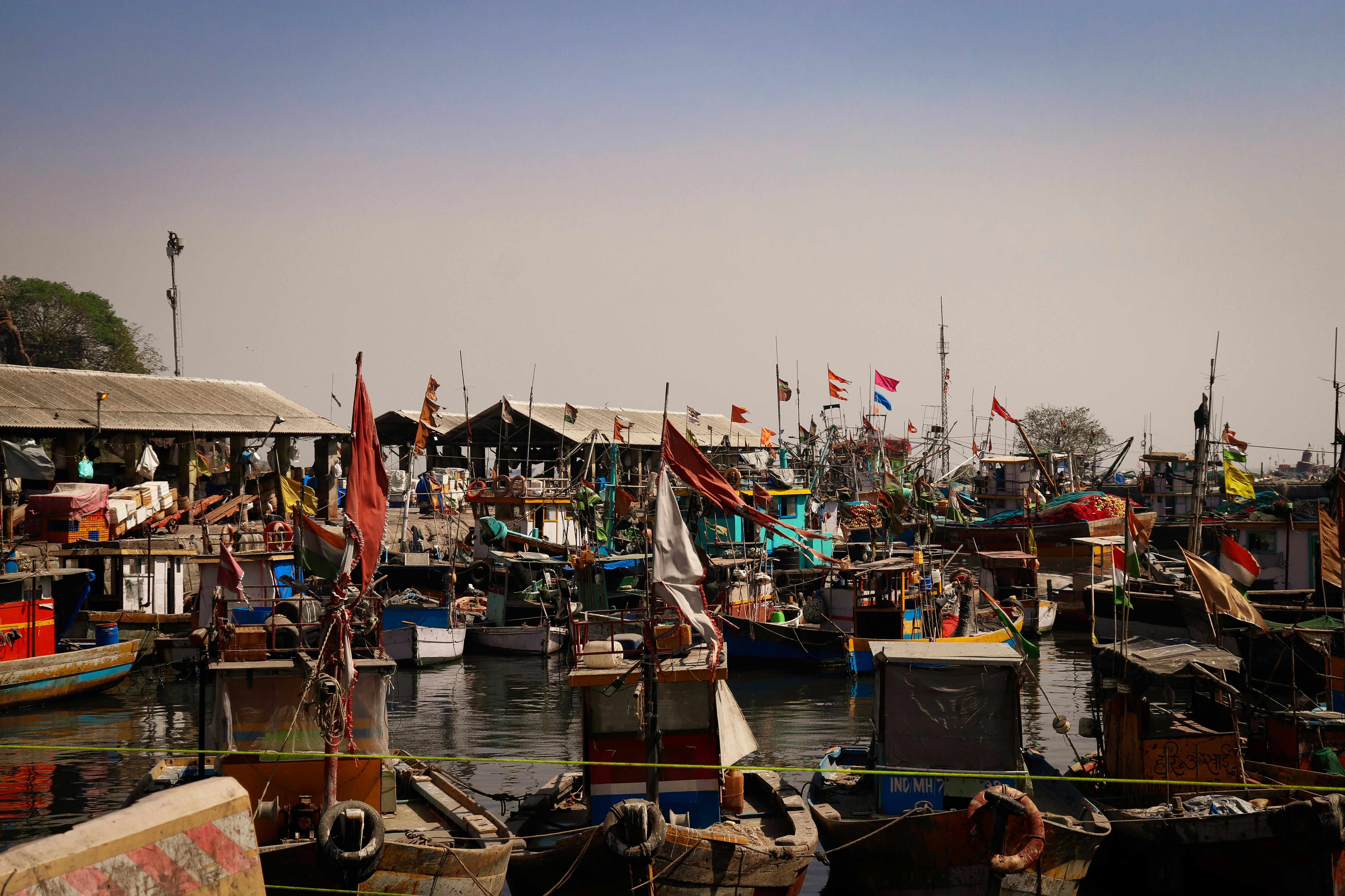 Sassoon Dock Mumbai · Free Stock Photo