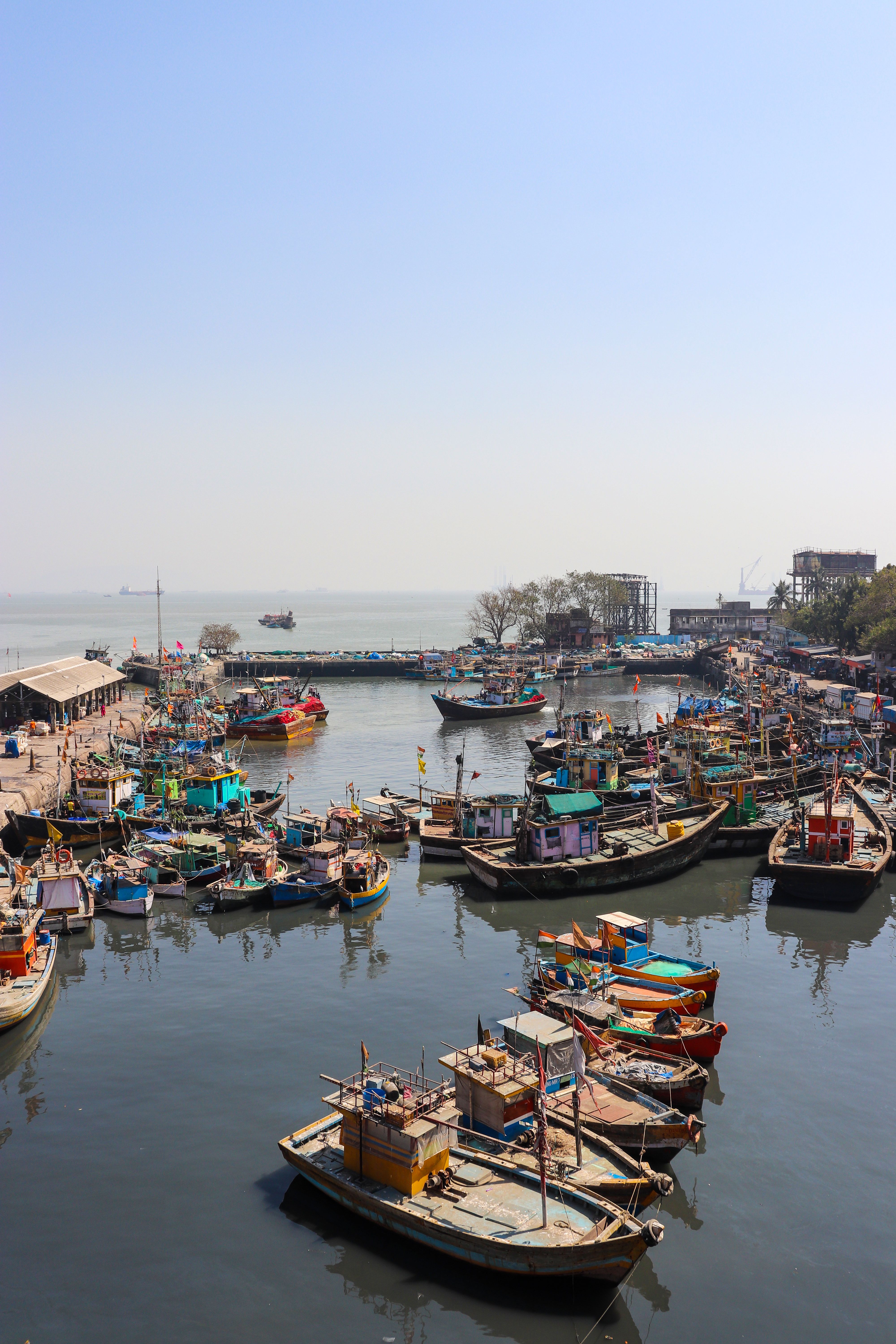 Sassoon Dock Mumbai · Free Stock Photo