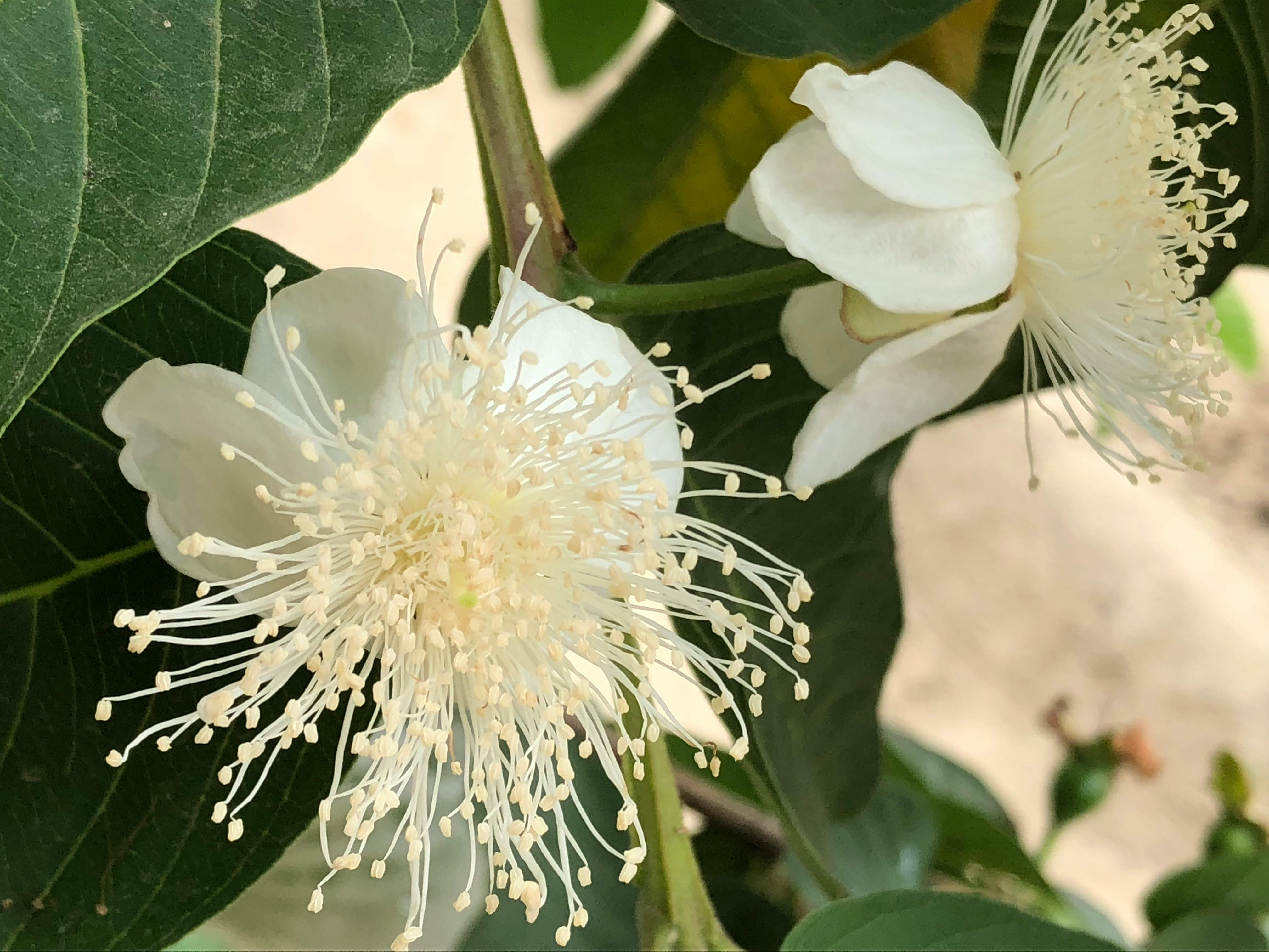 Catherine Huang — Фотография