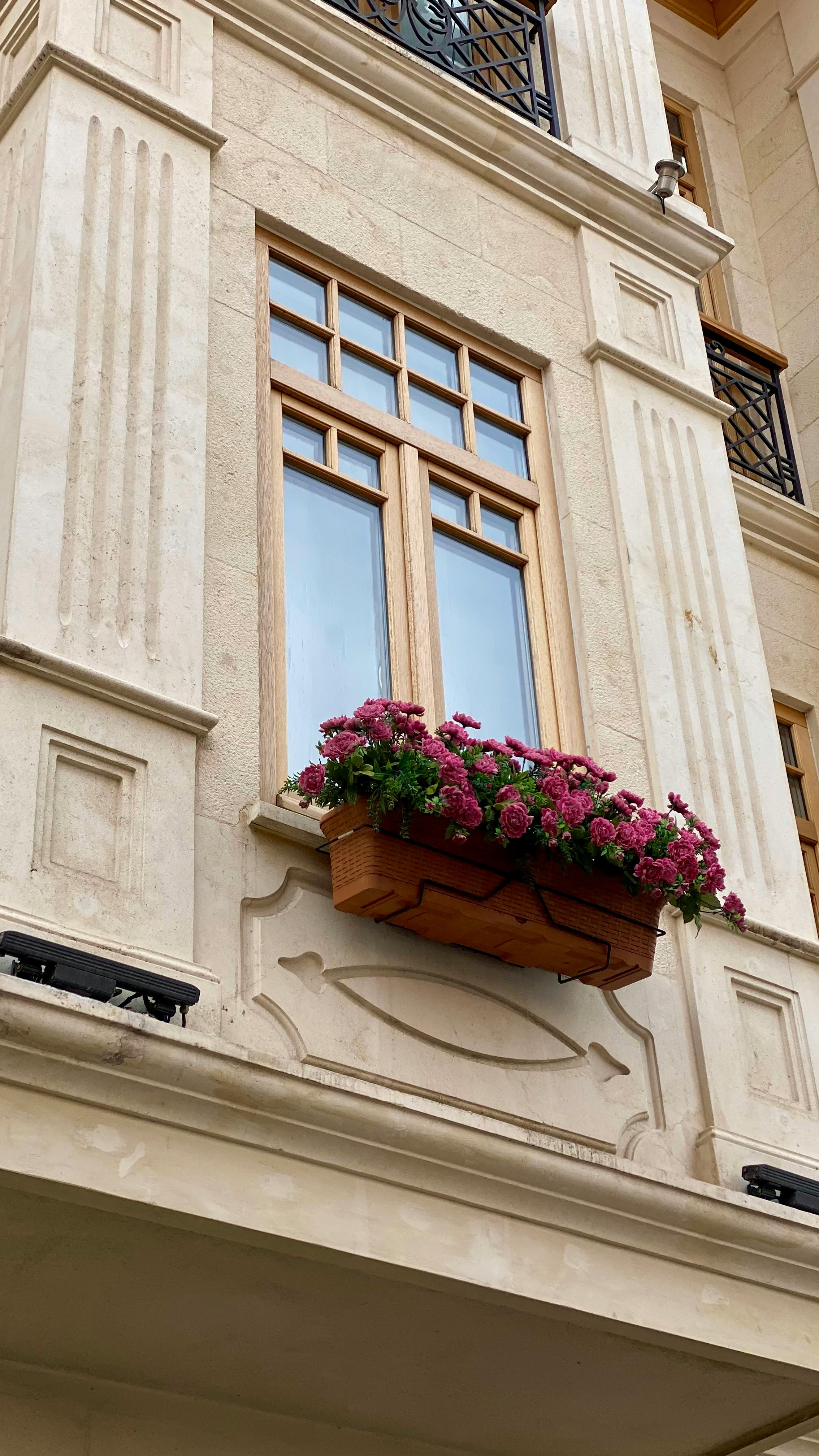 Greenery Plot Photos, Download The BEST Free Greenery Plot Stock Photos ...