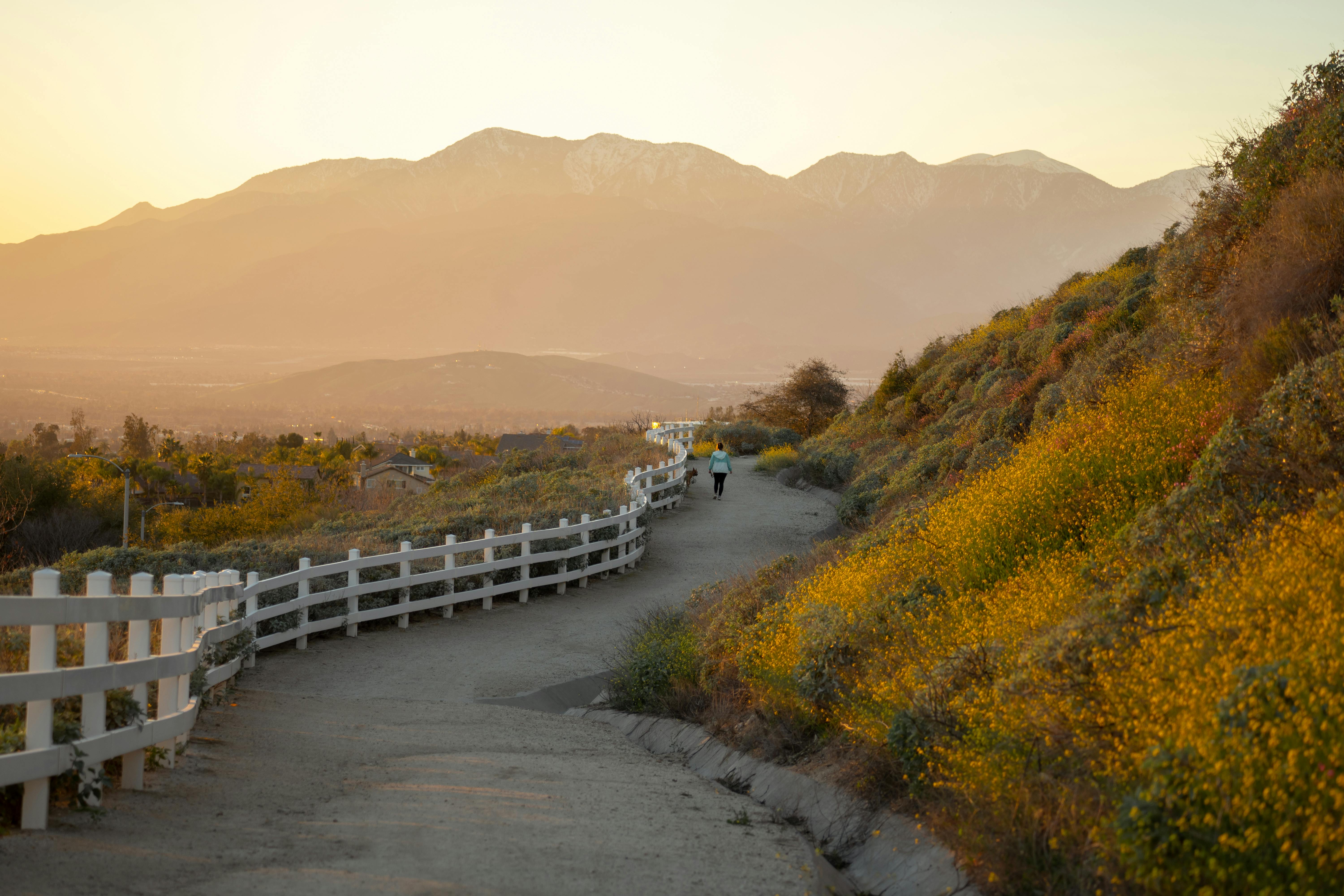 Evening Hike · Free Stock Photo
